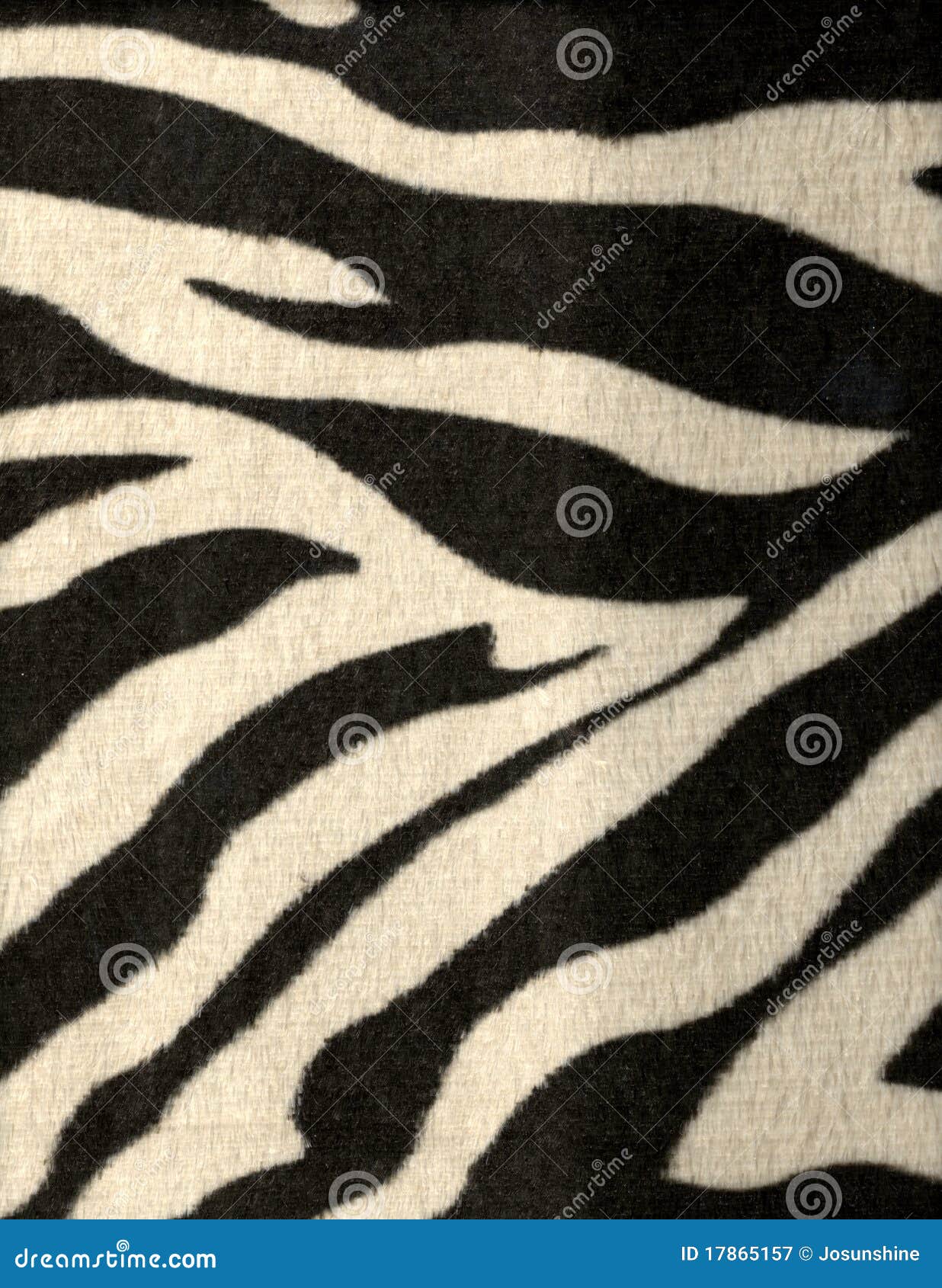 Zebra Fur Pattern stock image. Image of decoration, texture - 17865157
