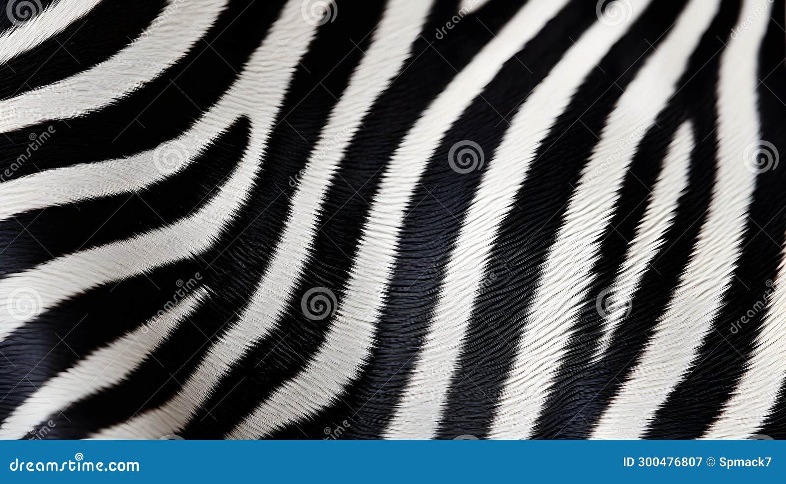 Zebra Fur Skin Wide Background Stock Illustration - Illustration of ...