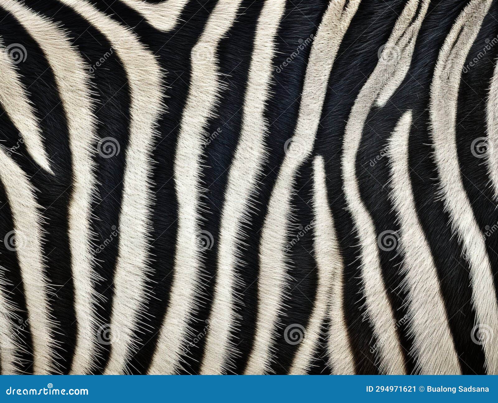 Zebra Fur Texture Made with Generative AI Illustration Stock ...