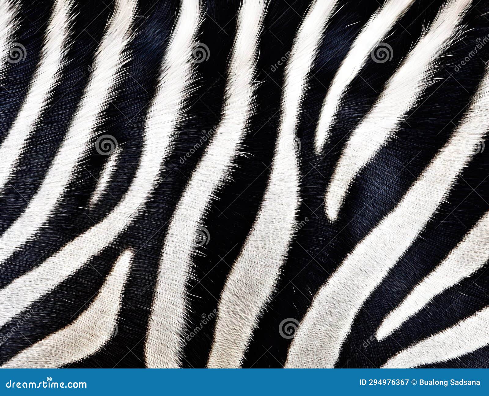 Zebra Fur Texture Made with Generative AI Illustration Stock ...