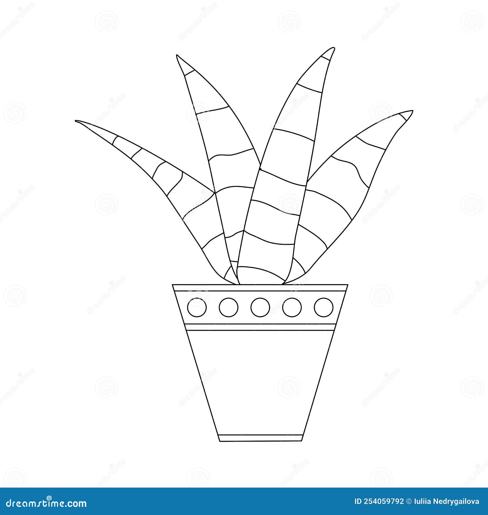 Zebra Haworthia Aloe Cactus In Pot, Flat Doodle Vector Outline ...