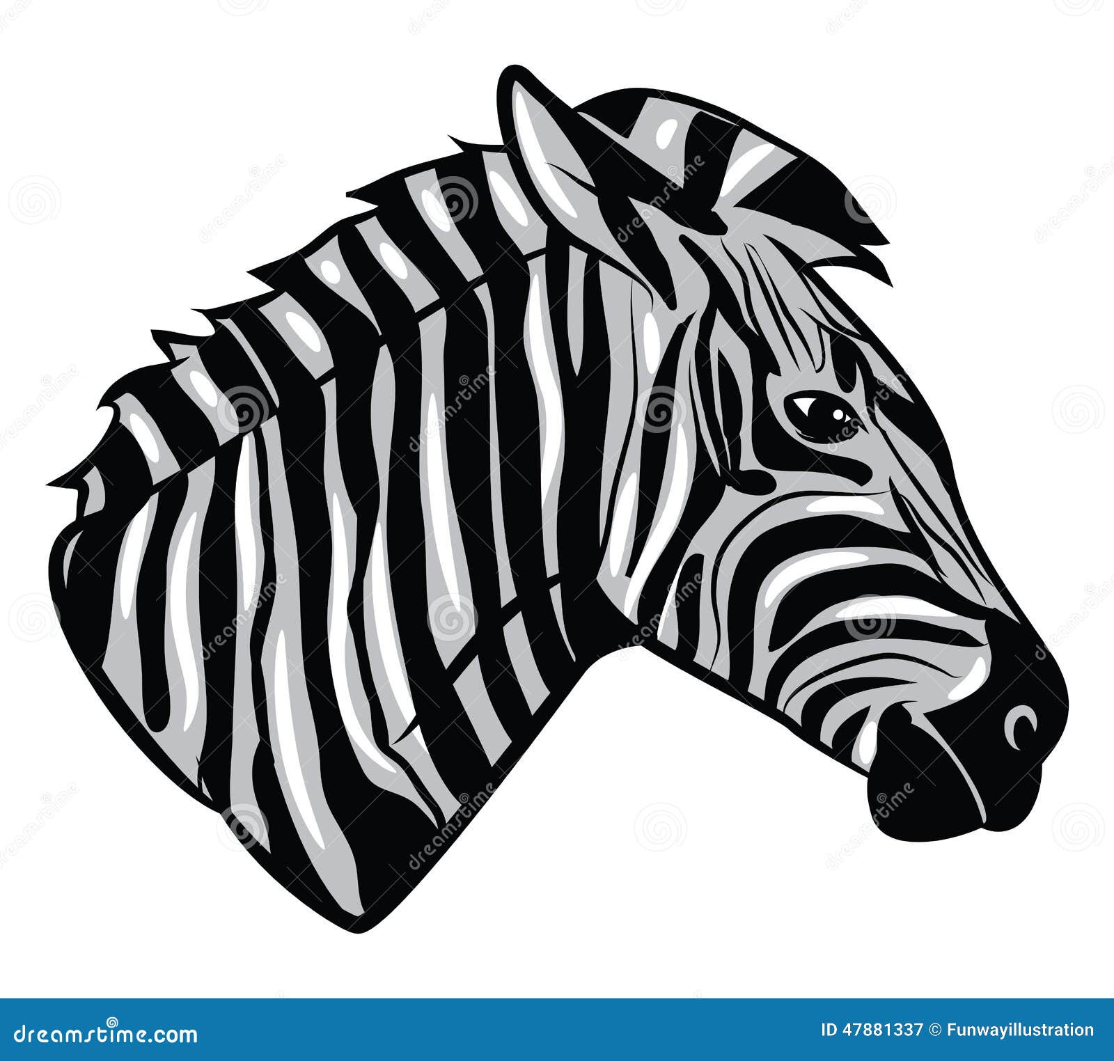 Zebra Head stock vector. Illustration of design, animal - 47881337