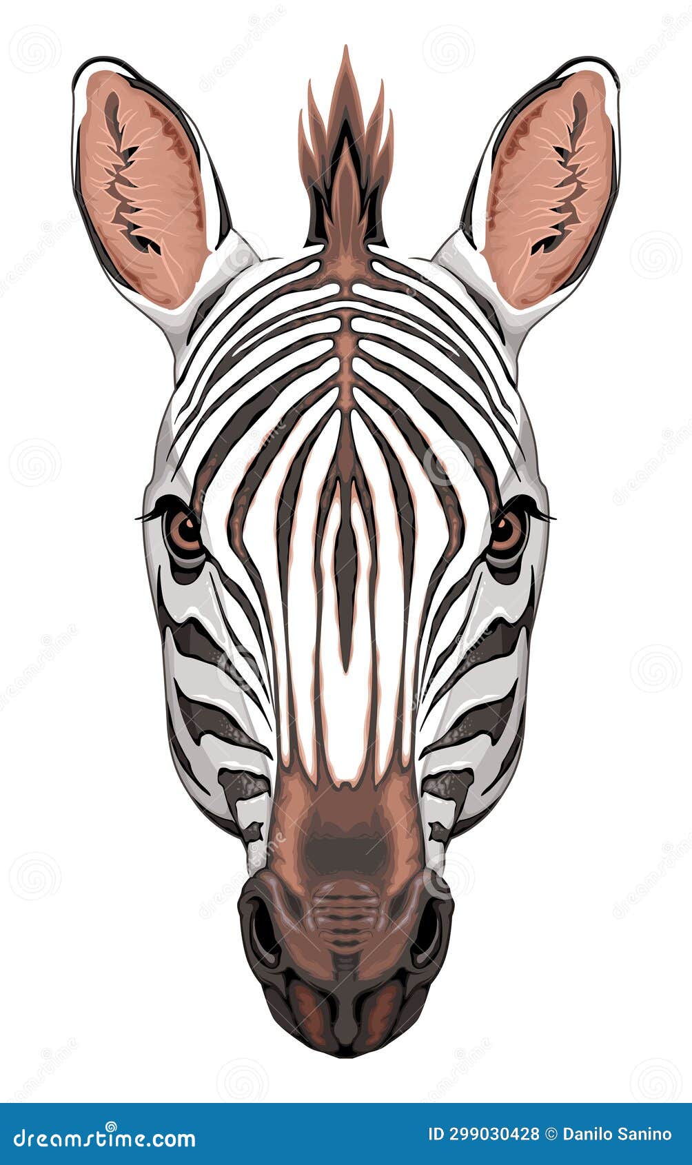 Zebra Head Front Close Shot Zebra's Head Natural Background Aged Photo