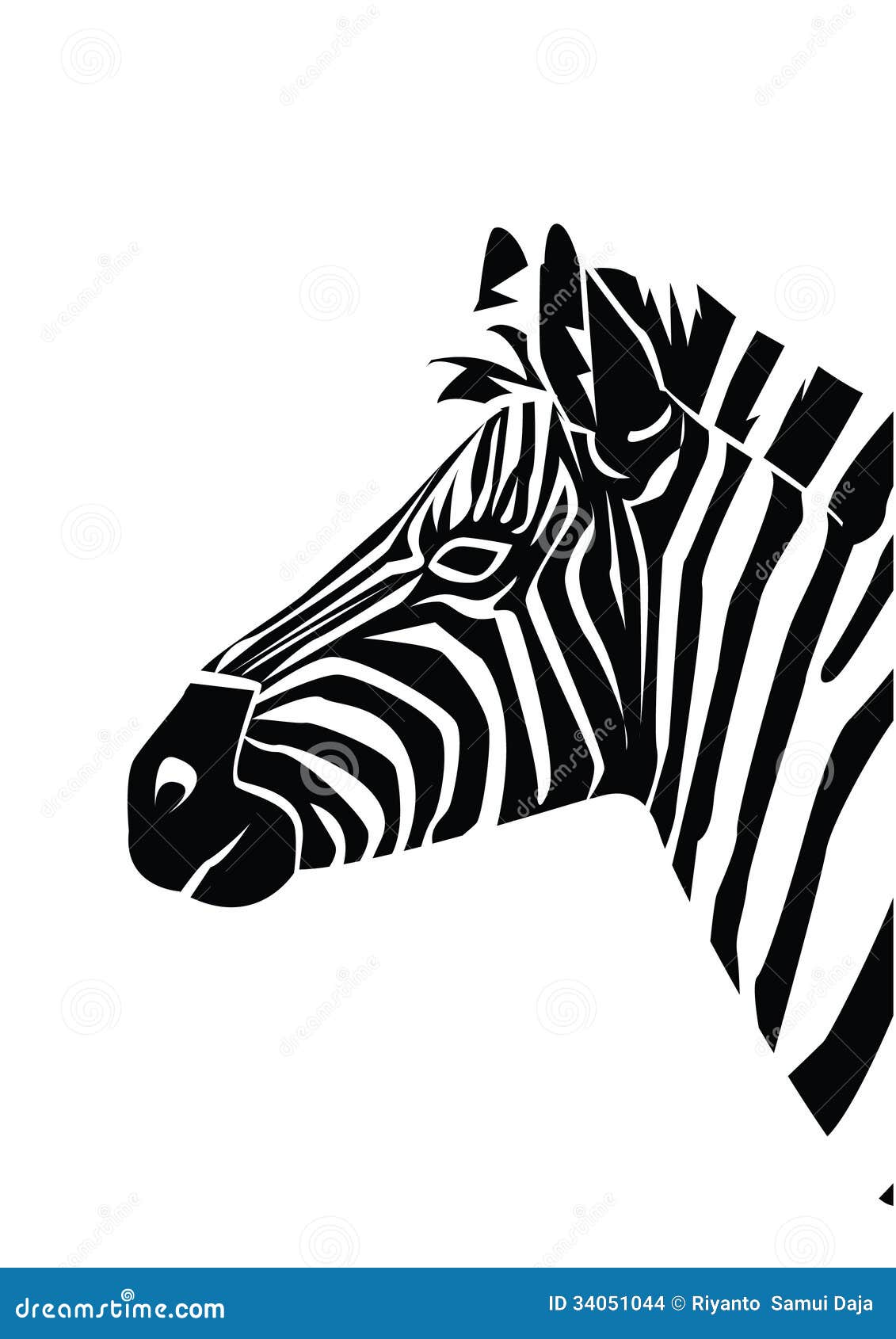 Zebra stock vector. Illustration of streaky, standing - 34051044