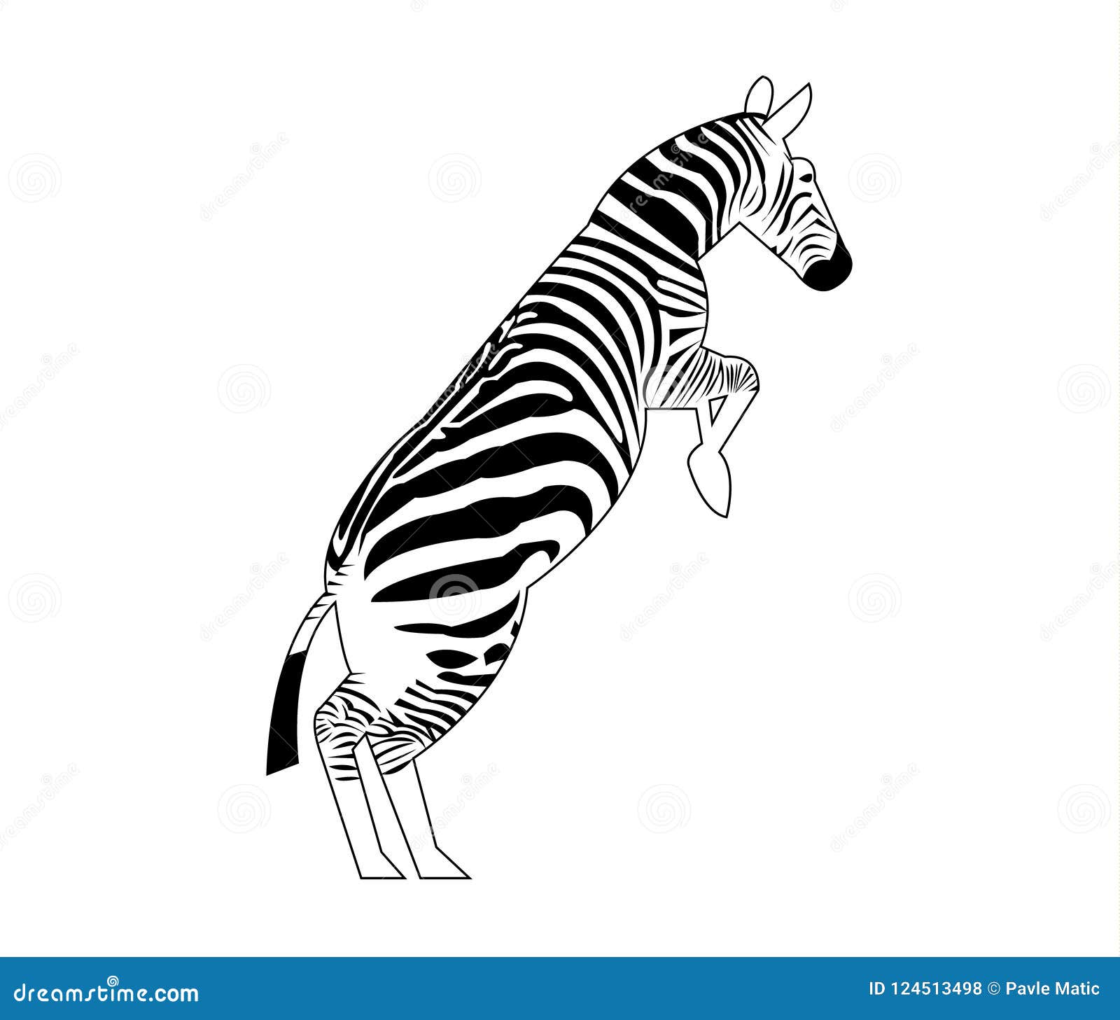 Zebra jumping on hind legs stock vector. Illustration of zebra - 124513498