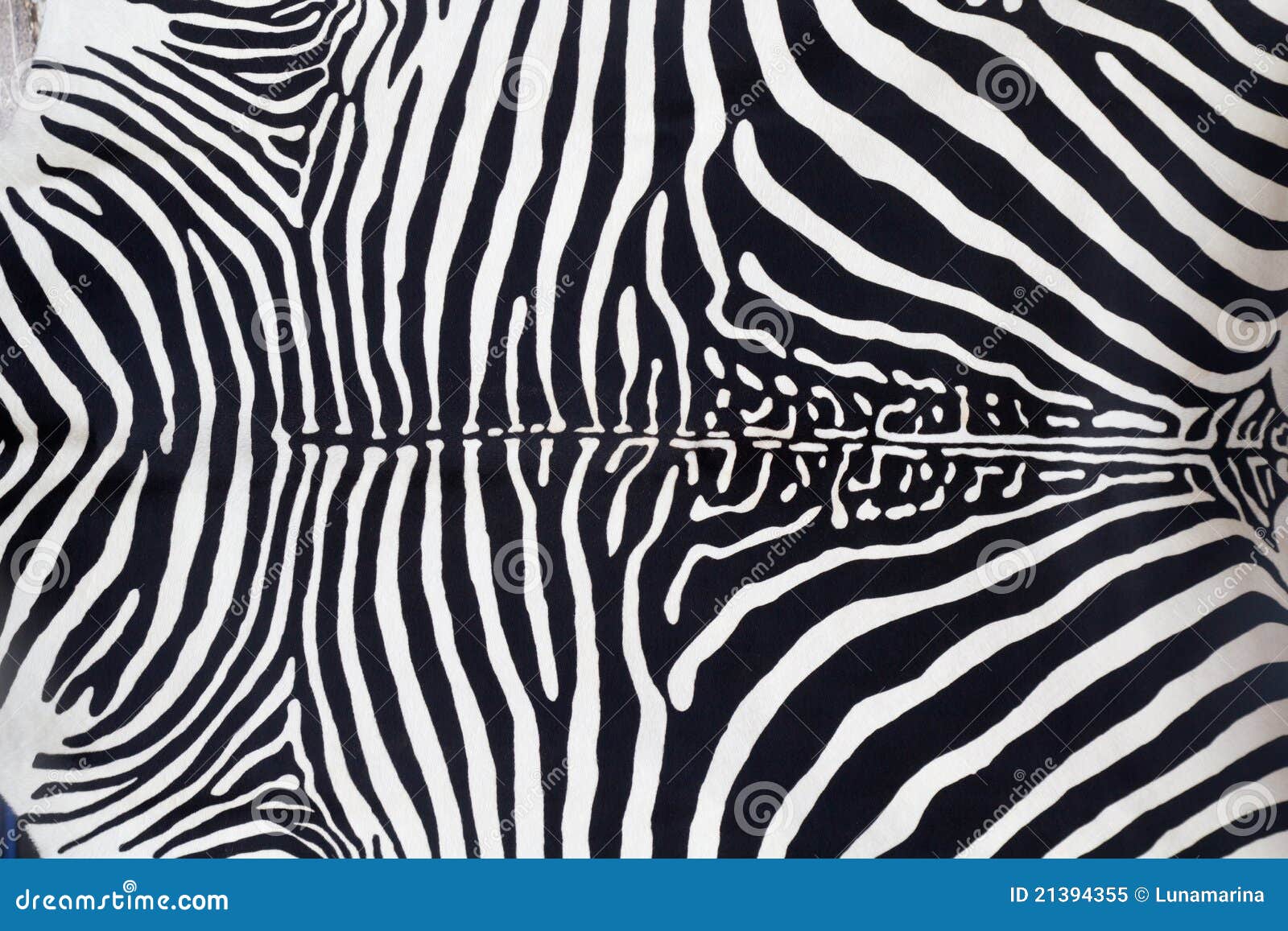 Zebra Leather Seamless Texture Royalty-Free Stock Photography ...
