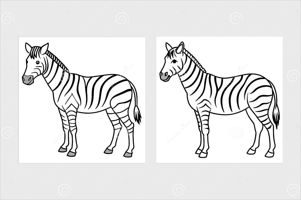 Zebra Line Art Vector Illustration. Stock Vector - Illustration of ...