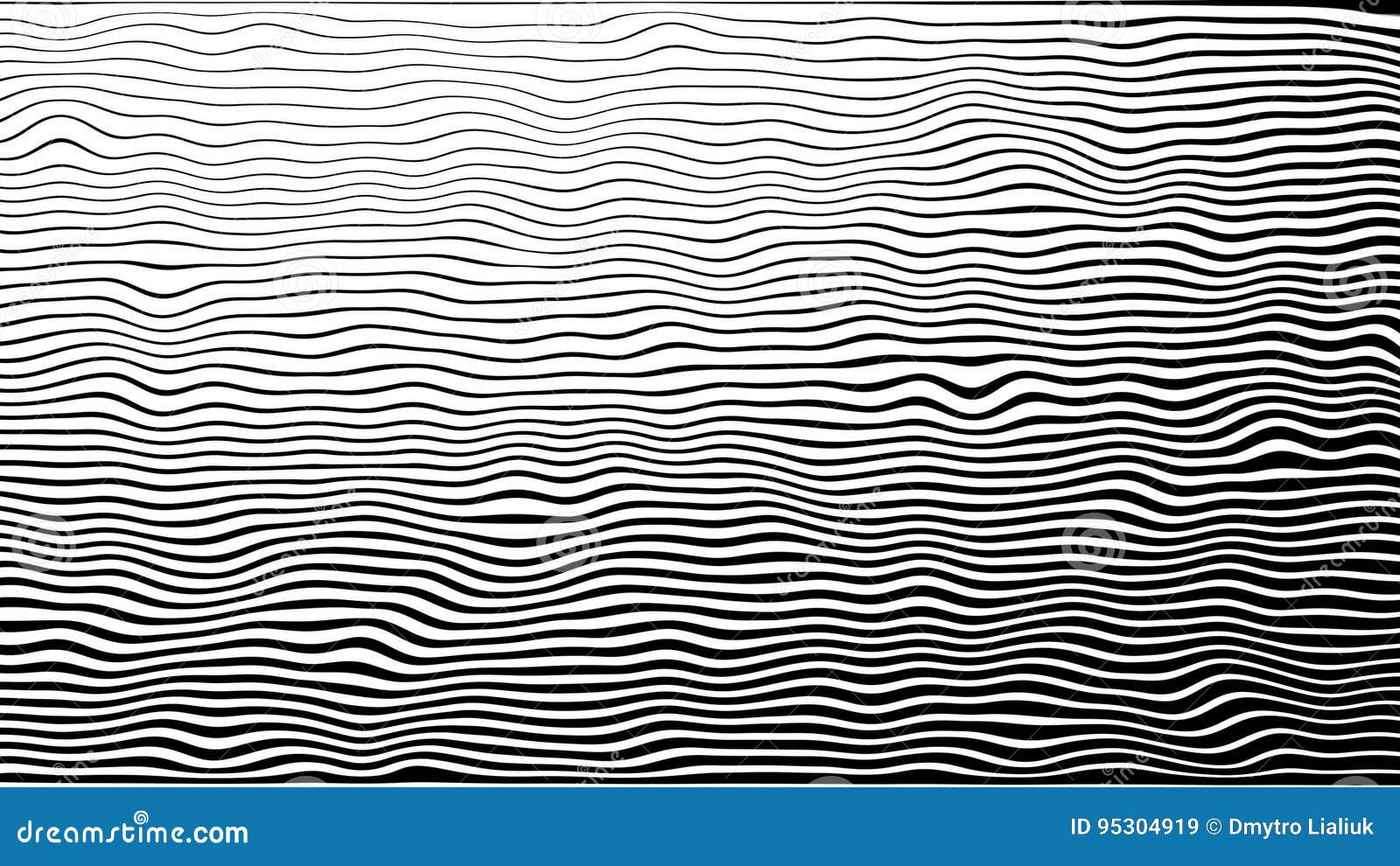 Zebra Line Pattern Movement Animation Background. 4k. on a White ...