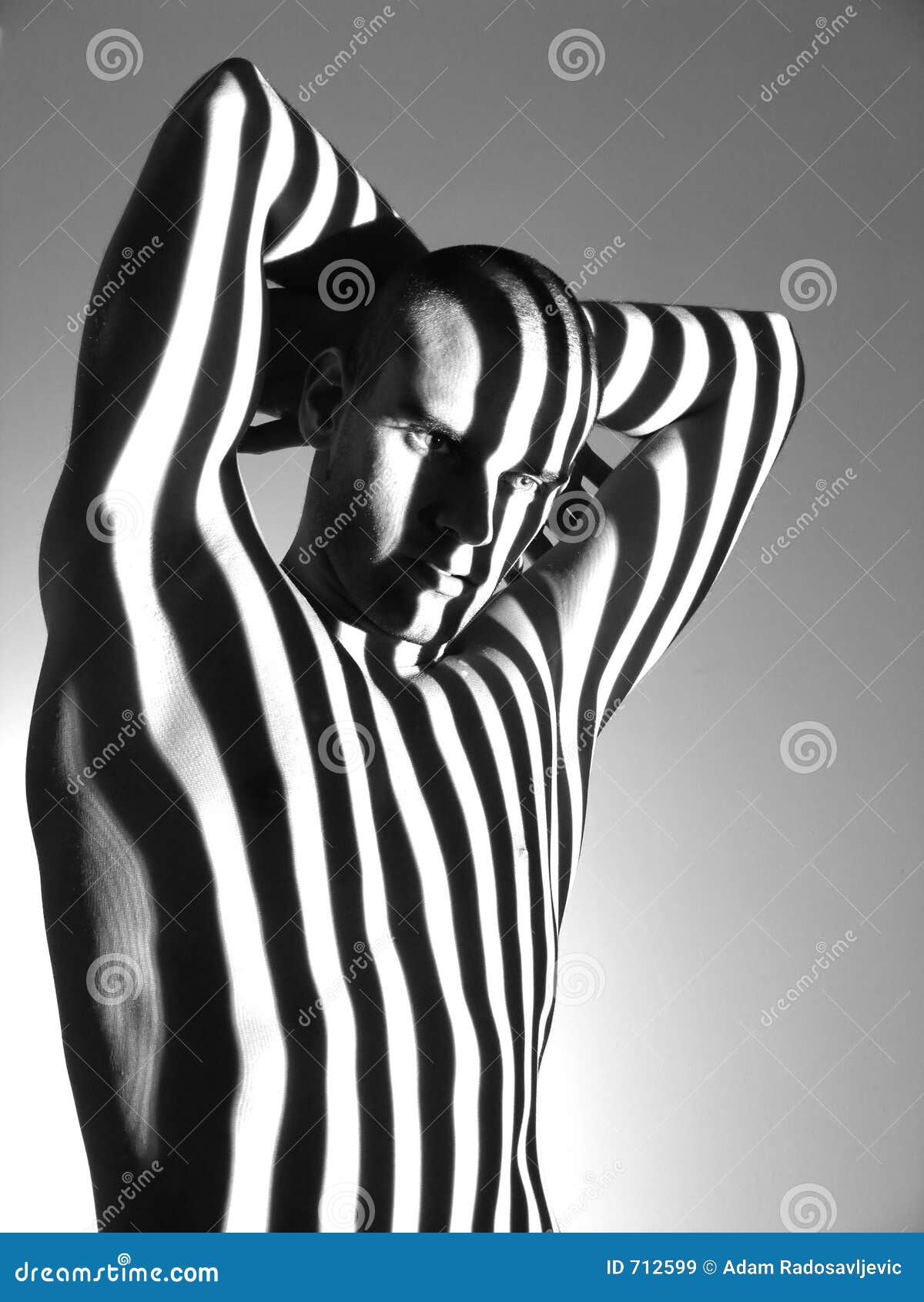 Zebra Man stock image. Image of nude, straps, torso, projection - 712599
