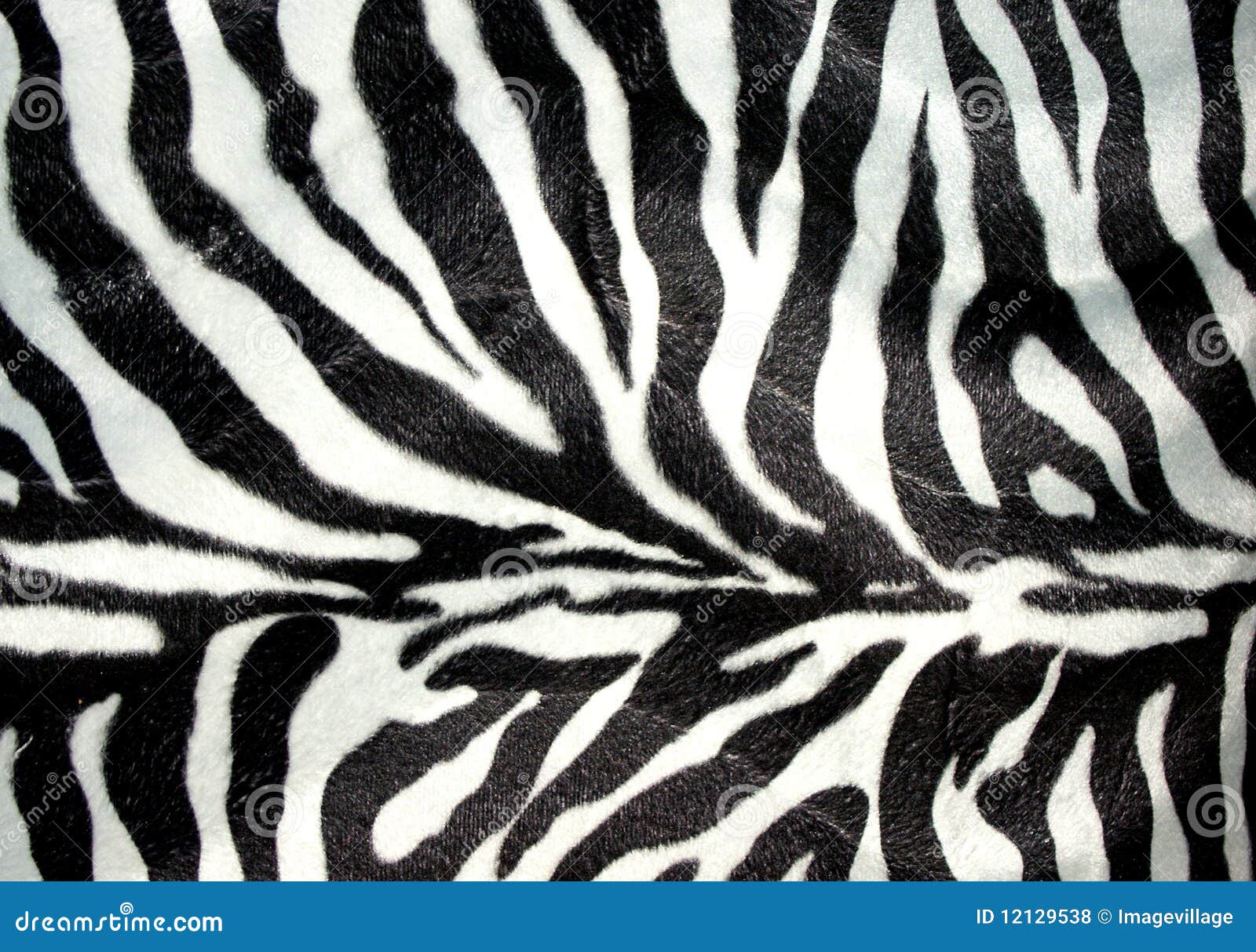 Zebra pattern stock photo. Image of fauna, background - 12129538