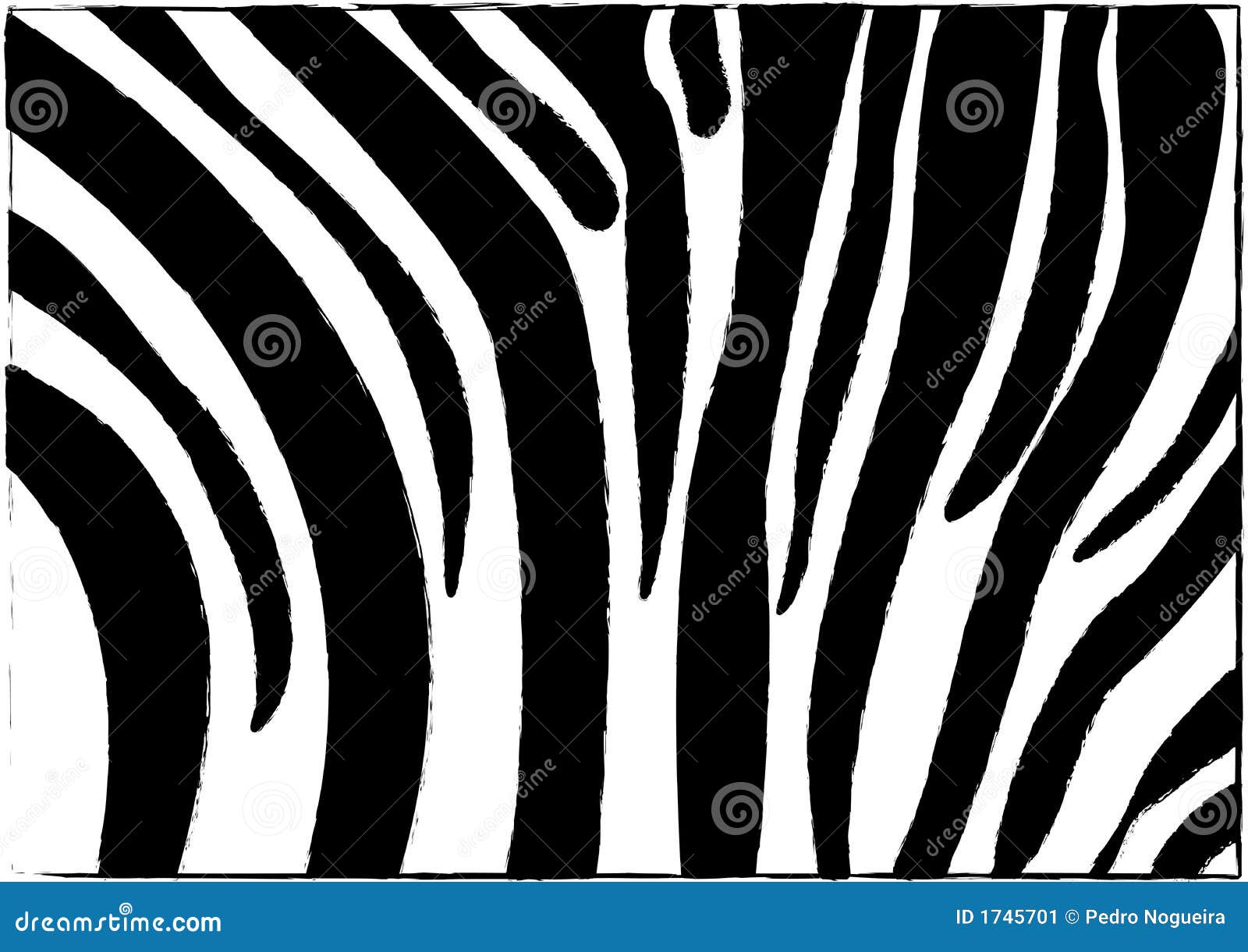 Zebra Pattern Cartoon Vector | CartoonDealer.com #8616141