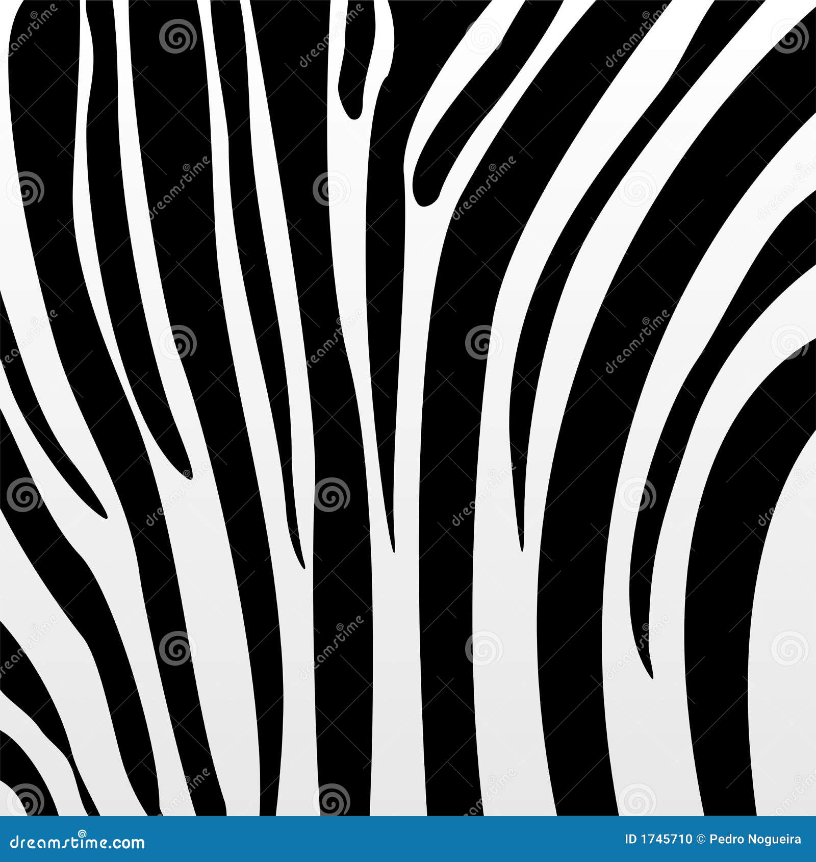 Zebra pattern stock vector. Illustration of nature, white - 1745710