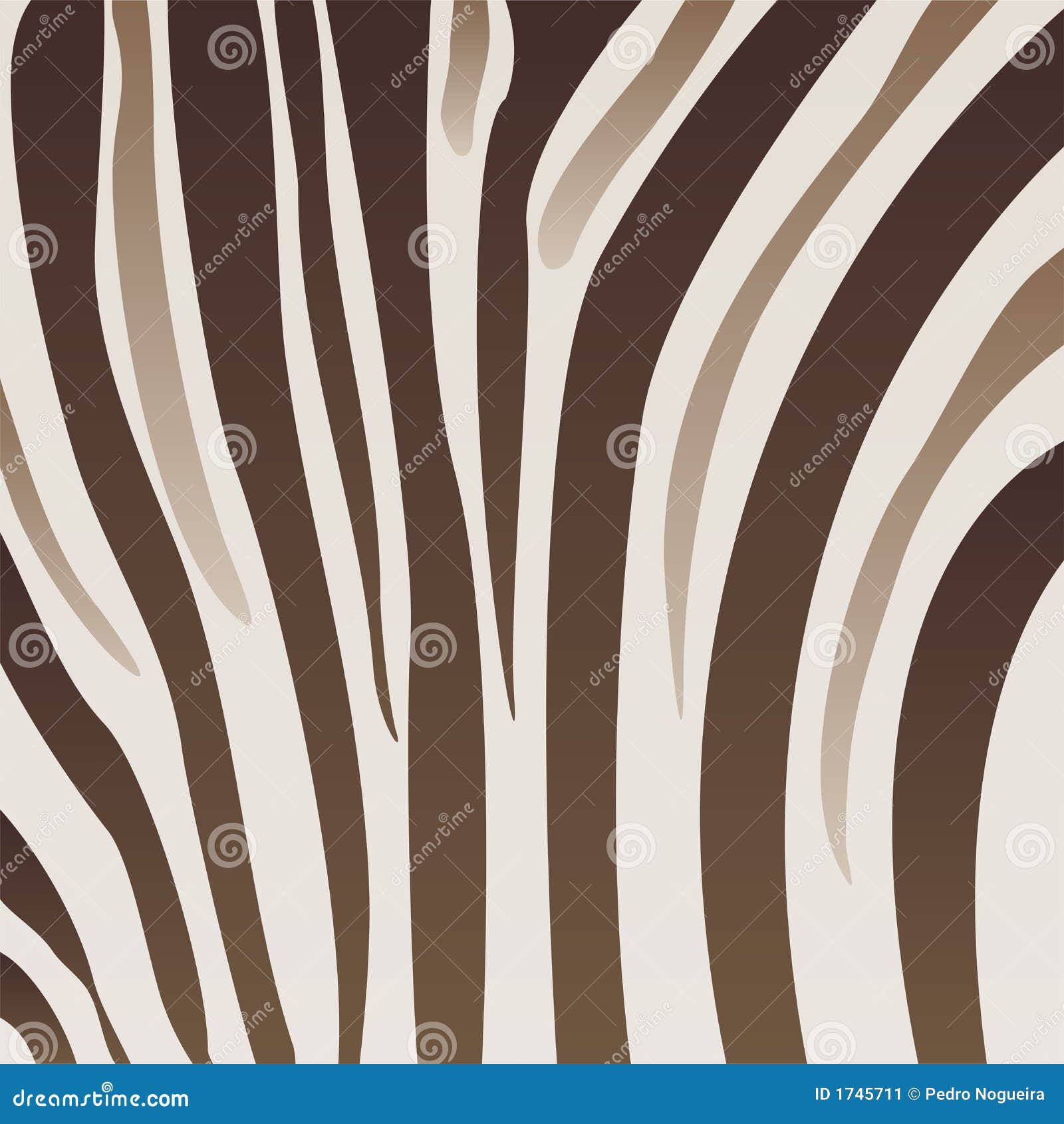 Zebra Pattern Cartoon Vector | CartoonDealer.com #8616141