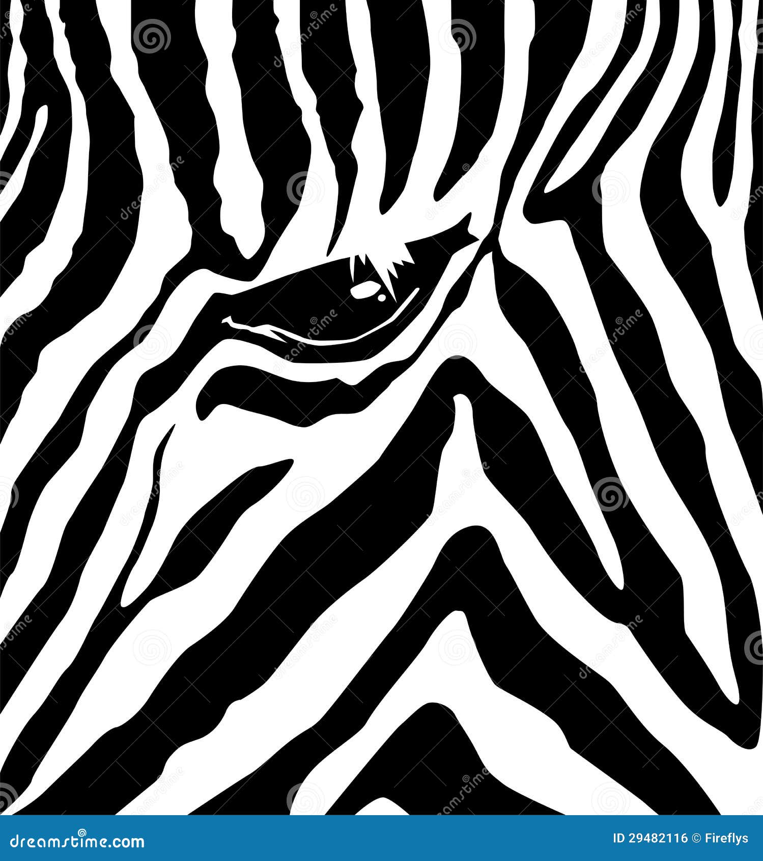 Zebra pattern stock vector. Illustration of ornament - 29482116