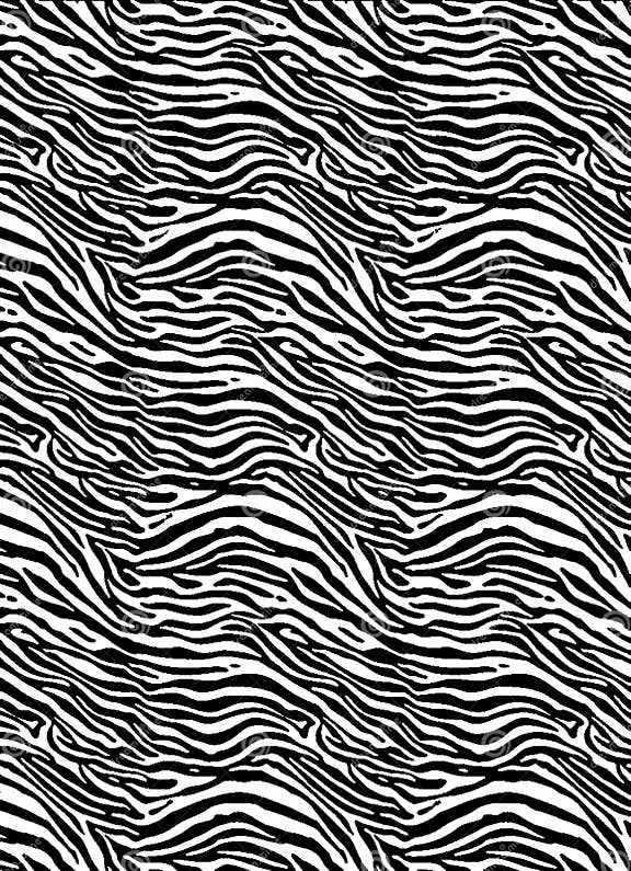 Zebra Pattern, Abstract, New, Innovation, Design Stock Illustration ...