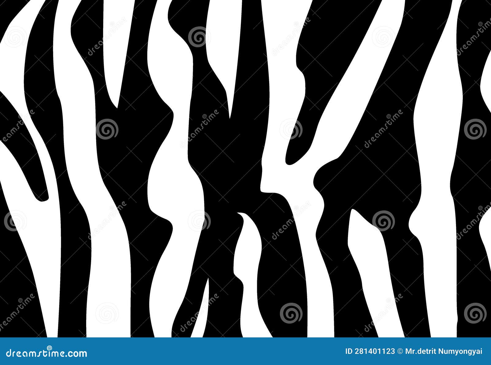 Zebra Strip. Zebra Stripes Pattern Texture Vector Illustration ...