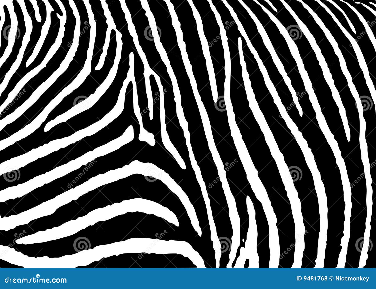 Zebra pattern large stock vector. Illustration of stripes - 9481768