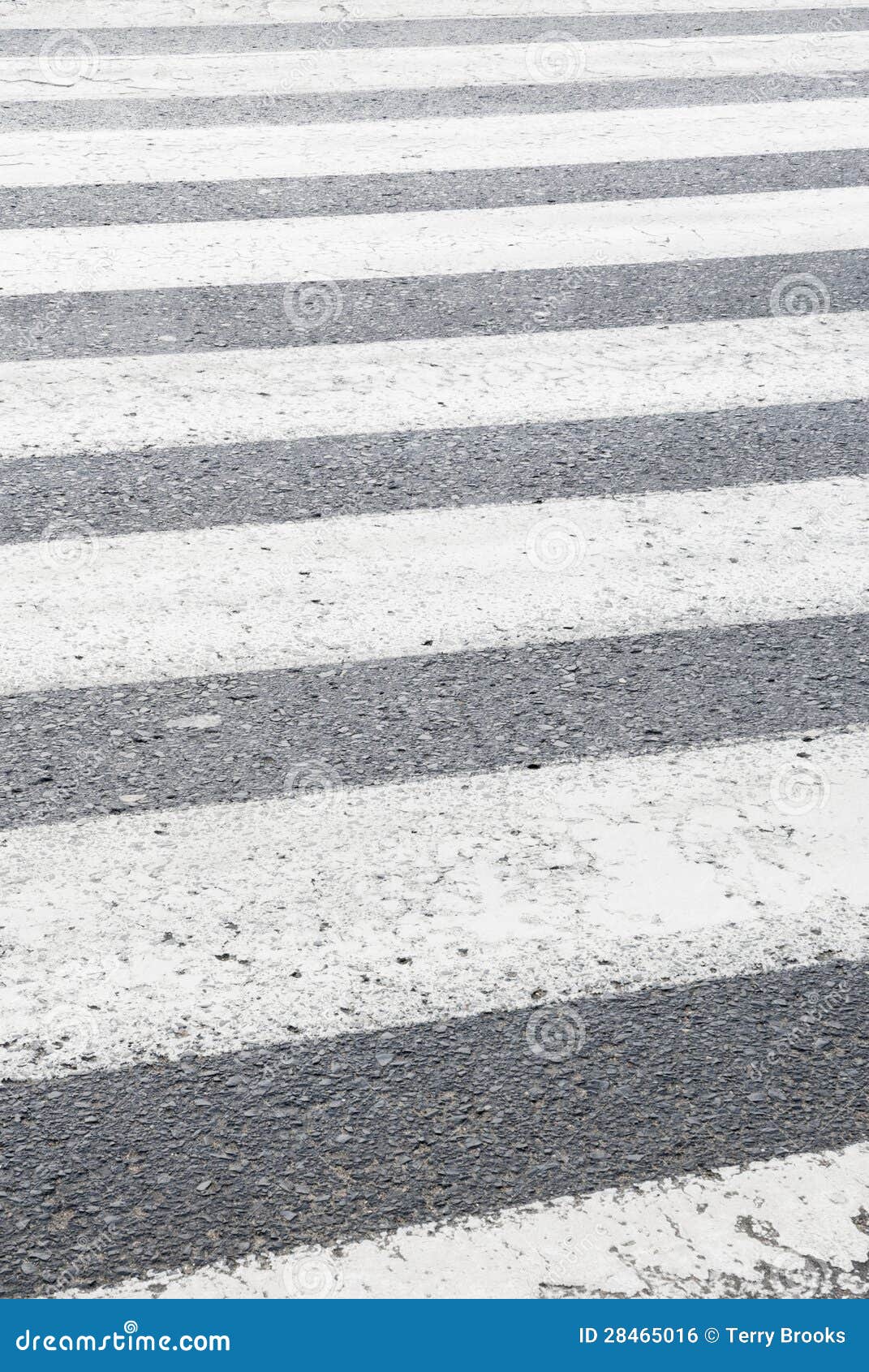 Zebra Pedestrian Crossing. stock photo. Image of black - 28465016