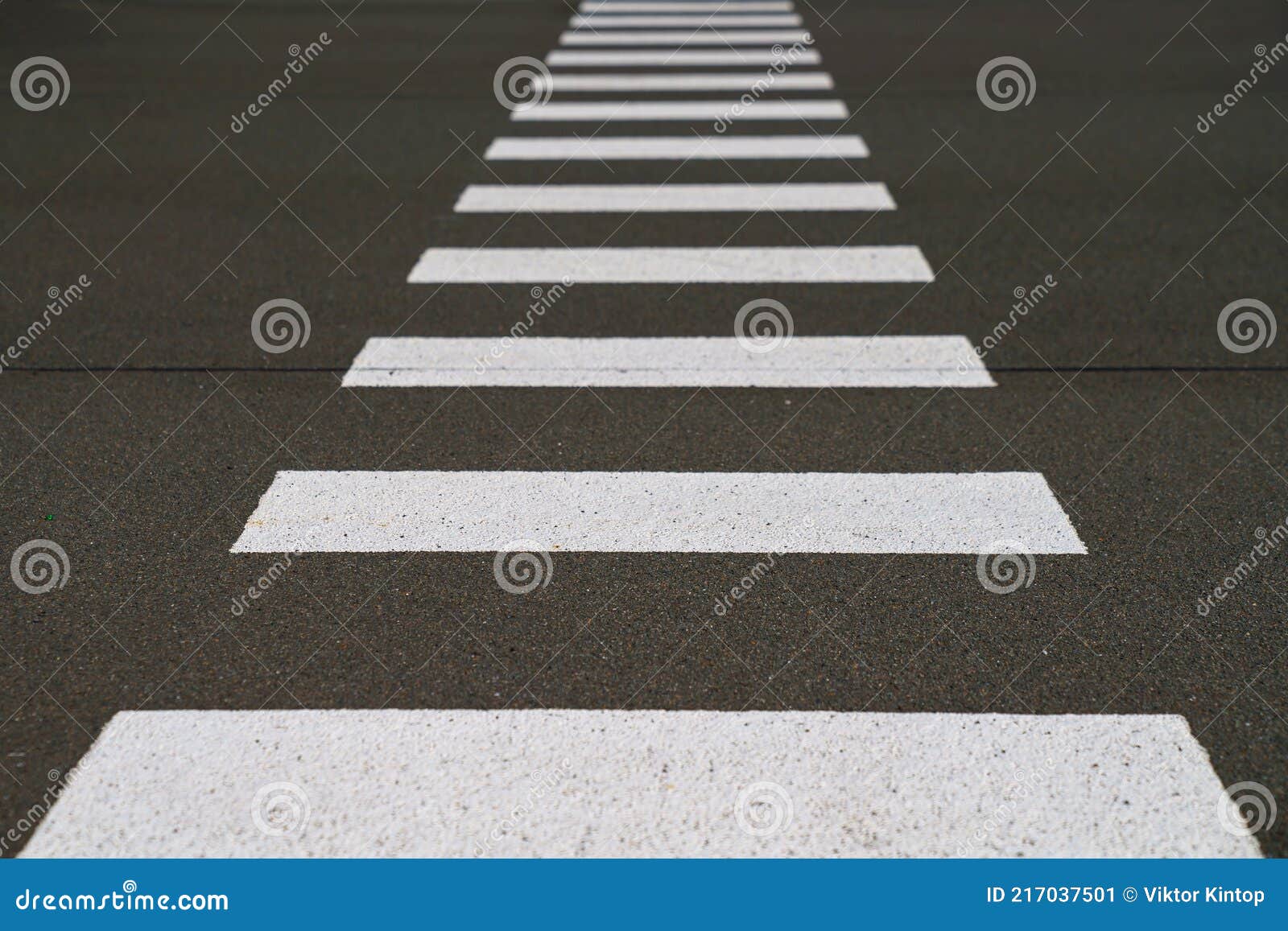 Zebra Pedestrian Crossing on the Asphalt Stock Image - Image of highway ...