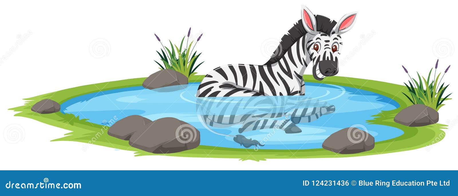 A zebra in the pond stock vector. Illustration of cartoon - 124231436