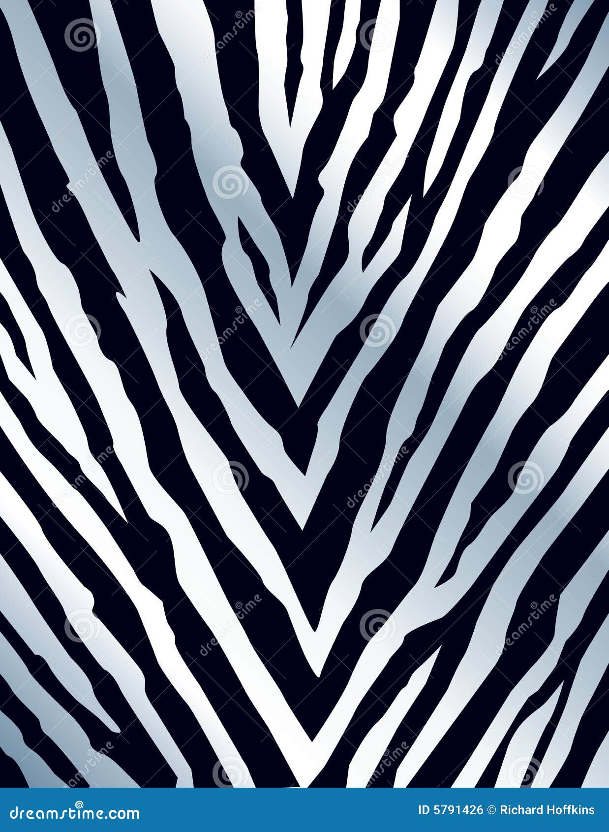 Zebra Print stock illustration. Illustration of drawing - 5791426