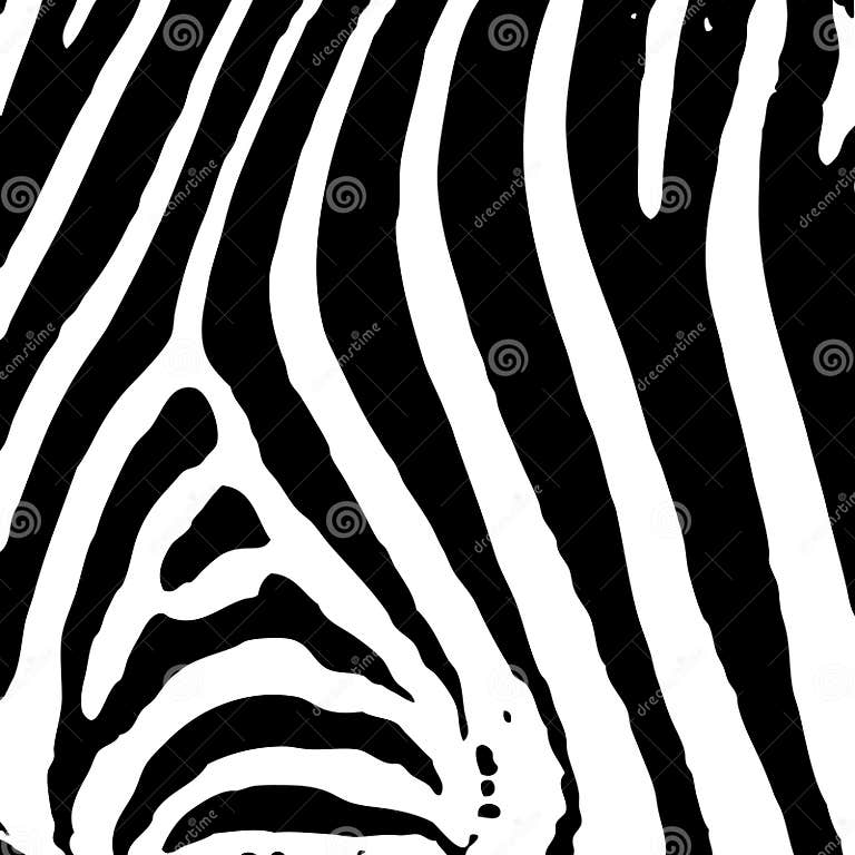 Zebra print stock vector. Illustration of wallpaper, tile - 9391241
