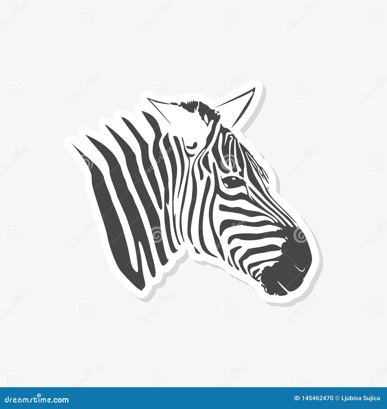 Zebra Print - Illustration stock vector. Illustration of entertainment ...