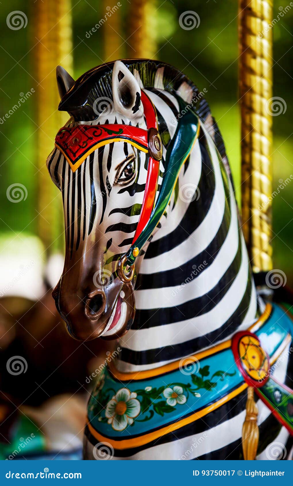 Zebra stock image. Image of fair, mammal, horse, coloful - 93750017
