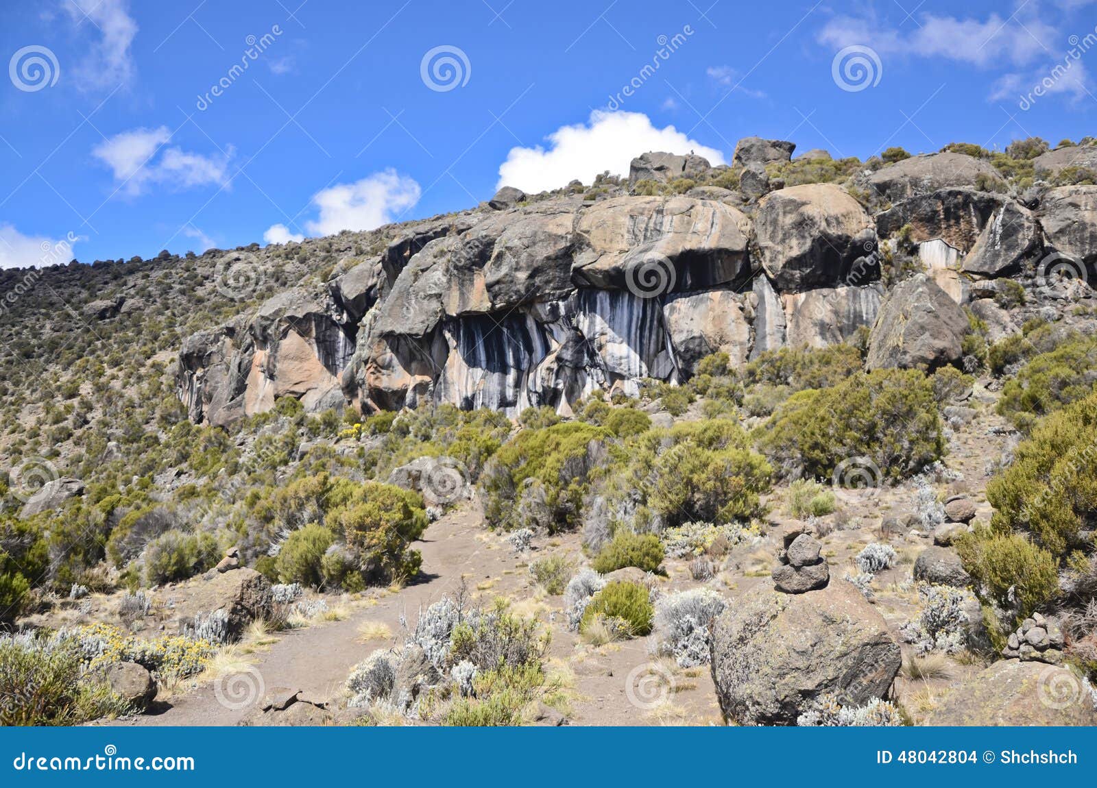 Zebra Rocks stock photo. Image of mawenzi, kilimanjaro - 48042804