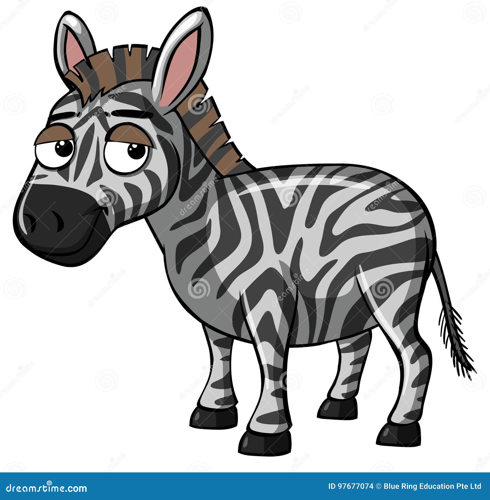 Zebra with sad smile stock vector. Illustration of animal - 97677074