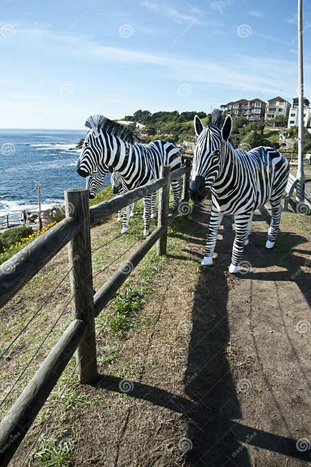 Zebra Sculptures by the Sea Bondi Beach Editorial Image - Image of ...