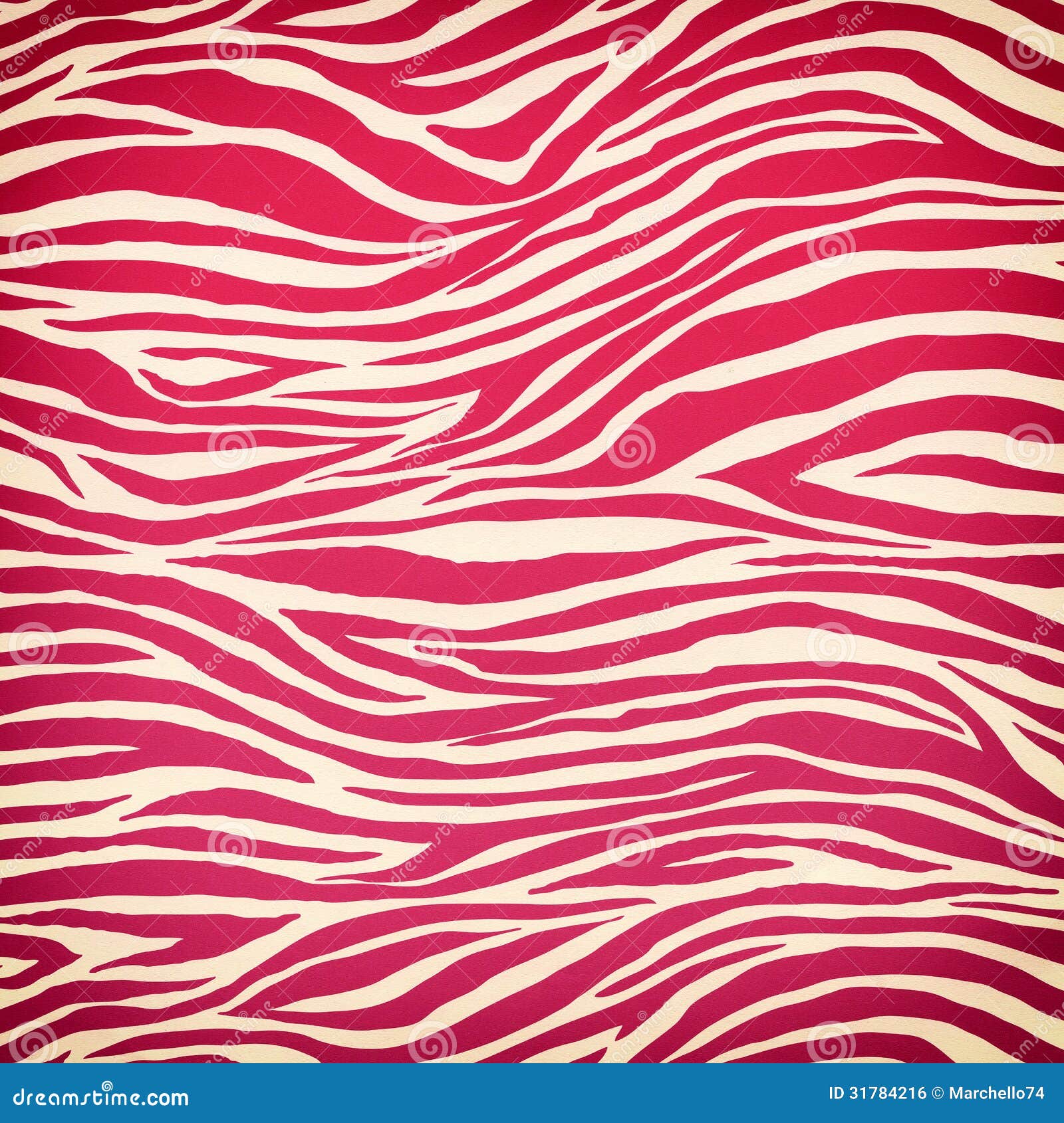 Zebra seamless pattern stock photo. Image of clothes - 31784216