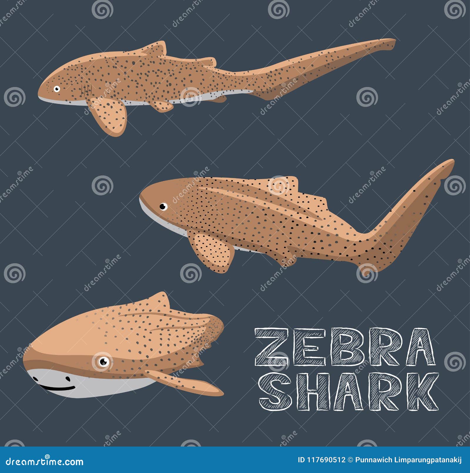 Zebra Shark Cartoon Vector Illustration Stock Vector - Illustration of ...