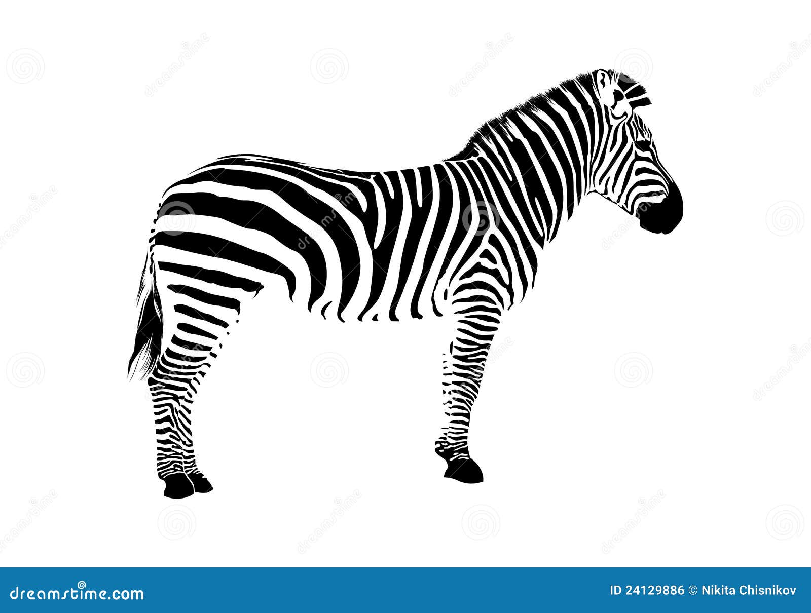 Zebra silhouette stock vector. Illustration of texture - 24129886