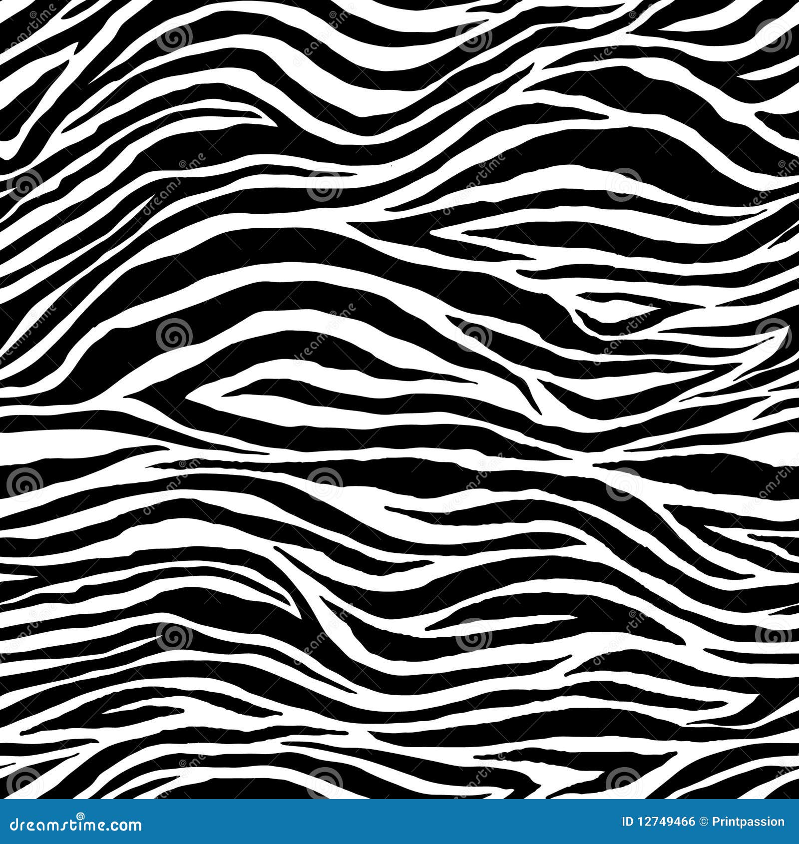 Zebra Print Pattern