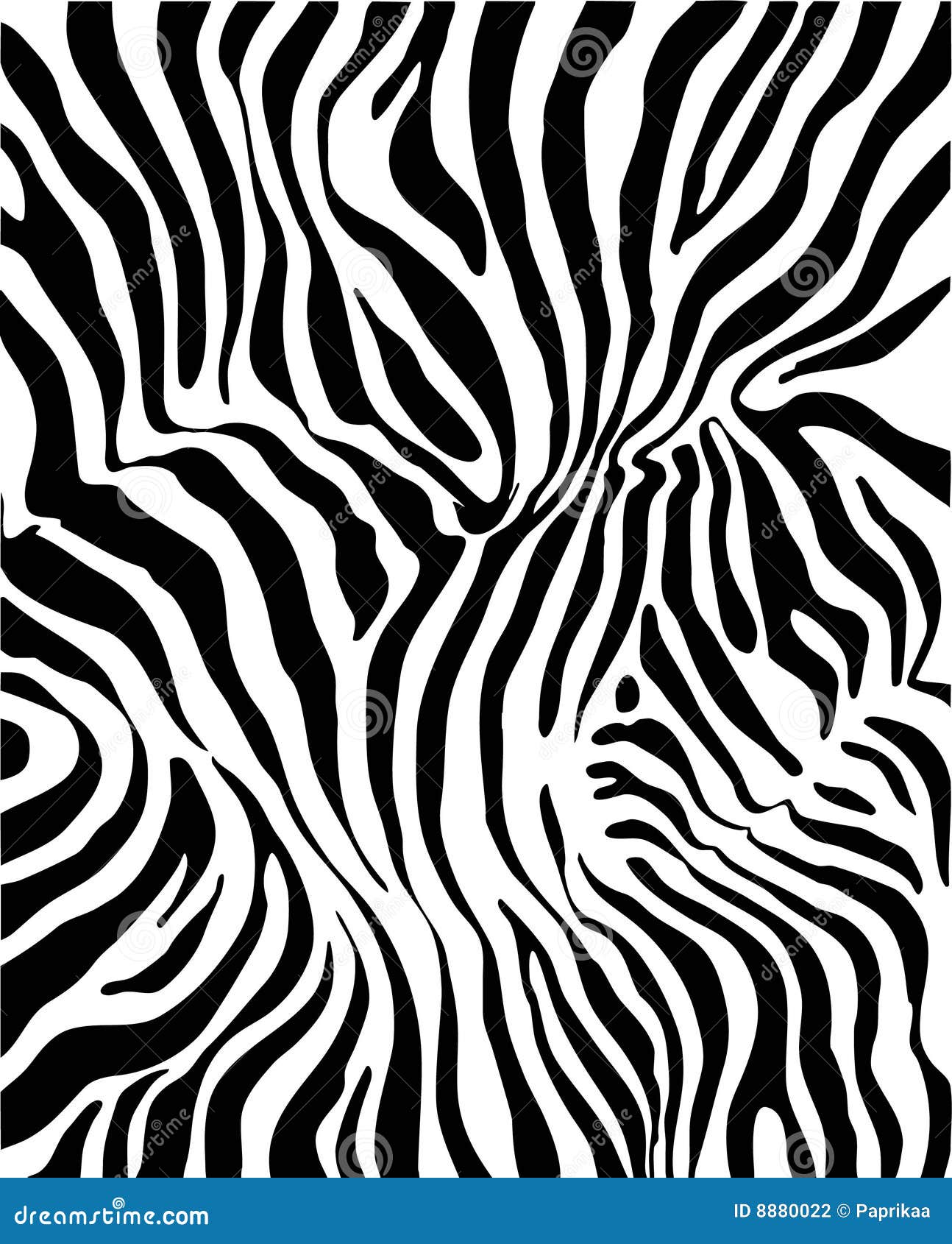 Zebra skin stock vector. Illustration of striped, graphic - 8880022