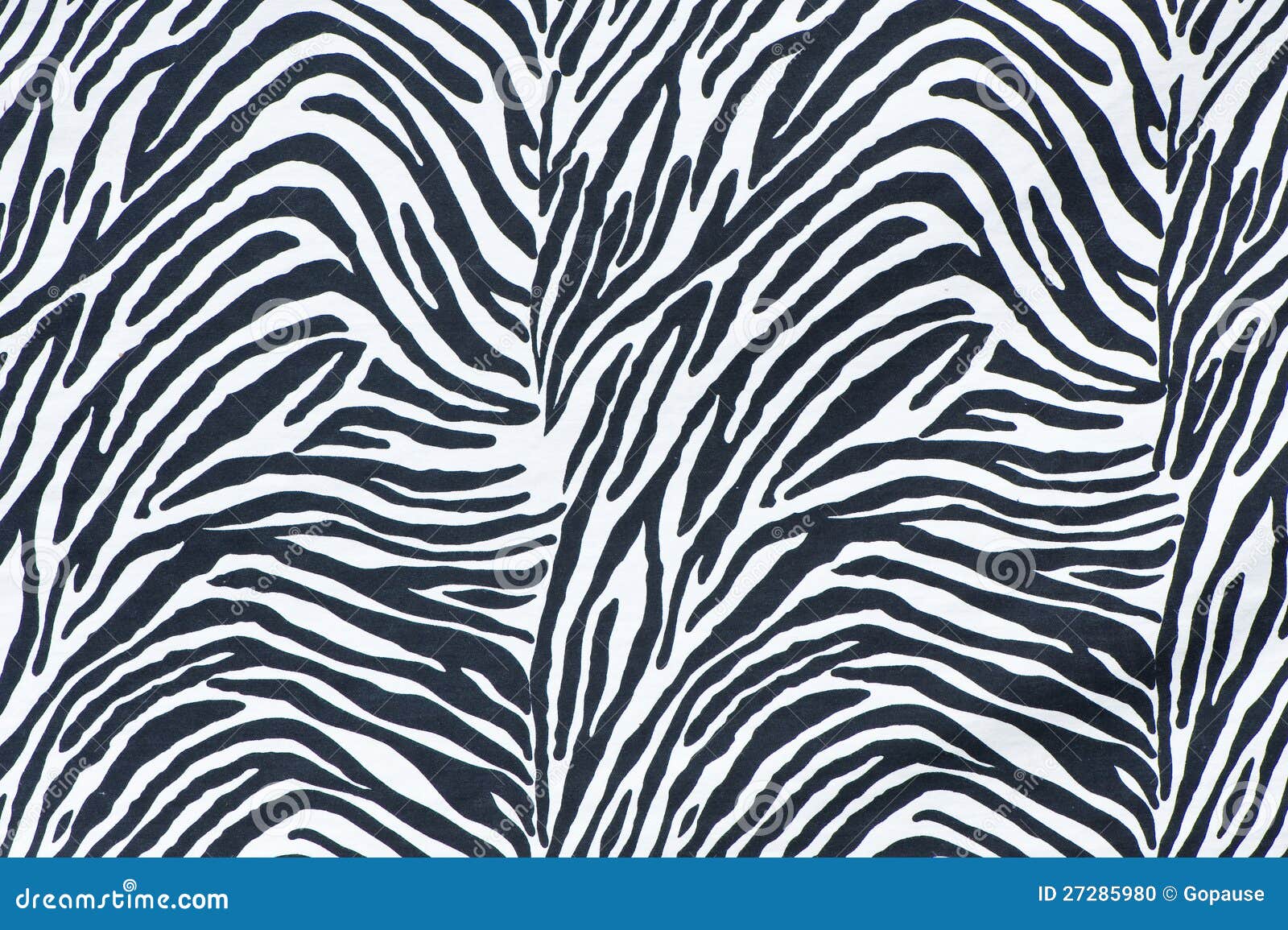 Zebra skin background stock photo. Image of leather, abstract - 27285980