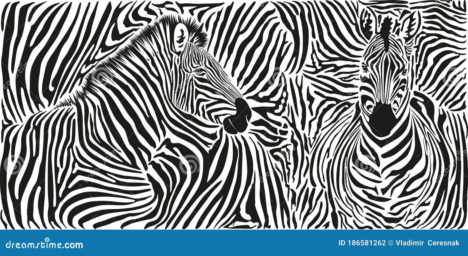 Zebra Skin Pattern with Two Heads Stock Vector - Illustration of safari ...