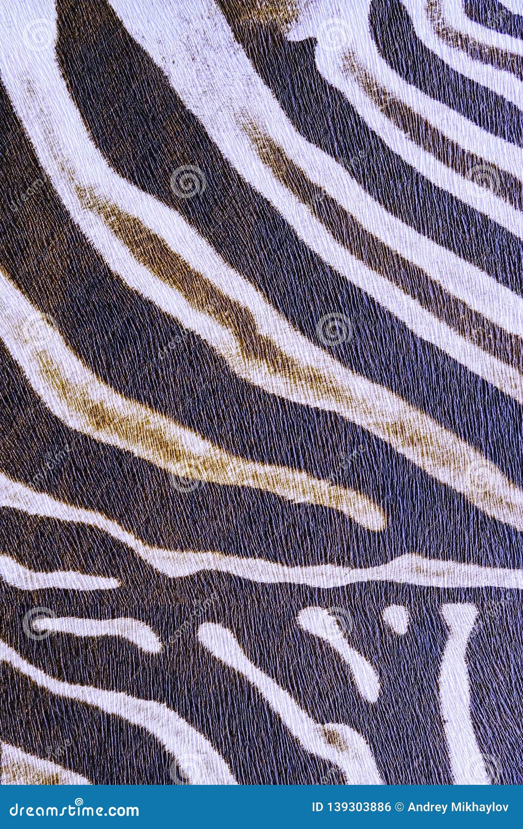 Zebra Skin. Seamless Zebra Fur Texture Background.High-resolution ...