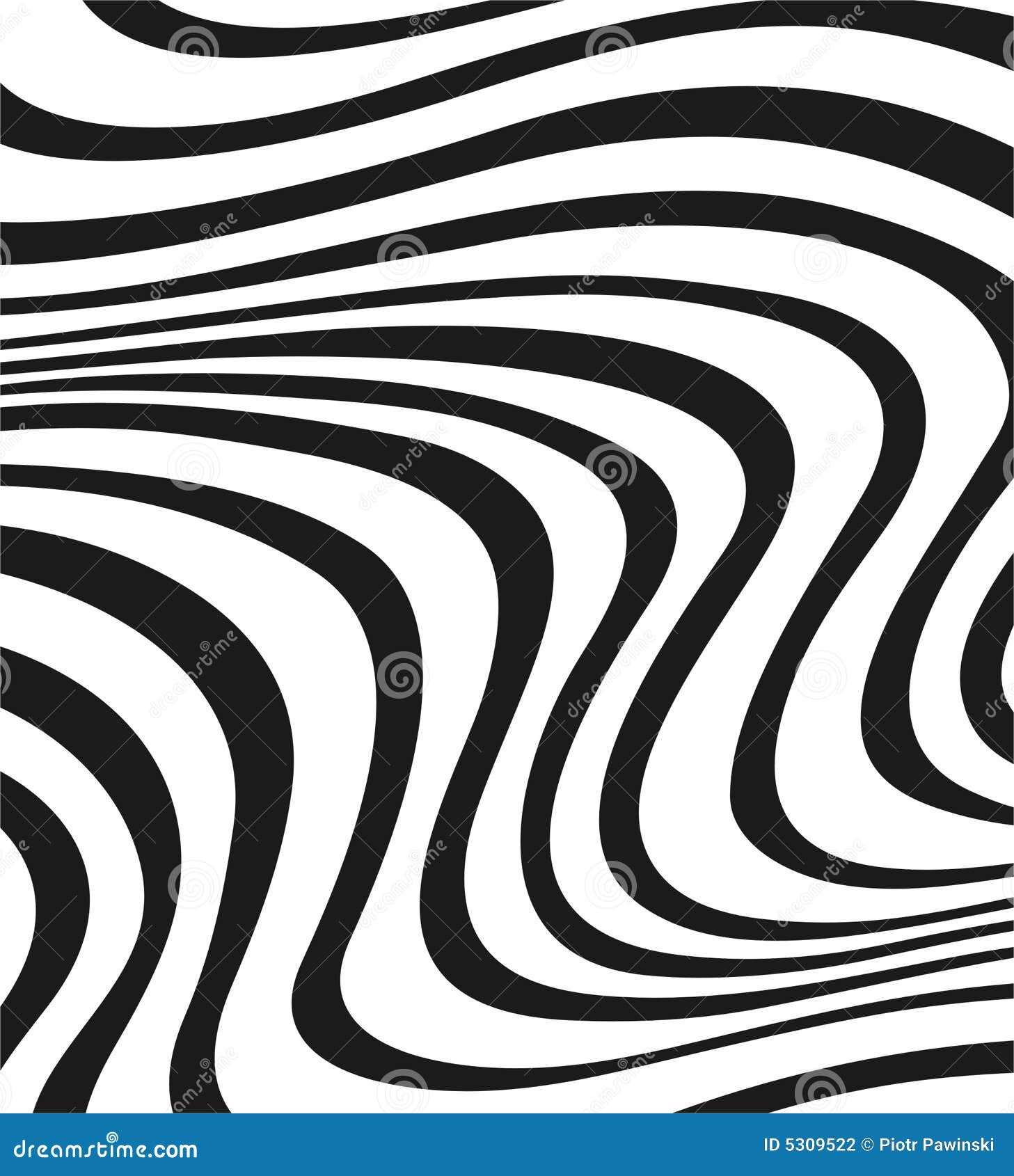 Zebra in square stock vector. Illustration of stripe, lines - 5309522