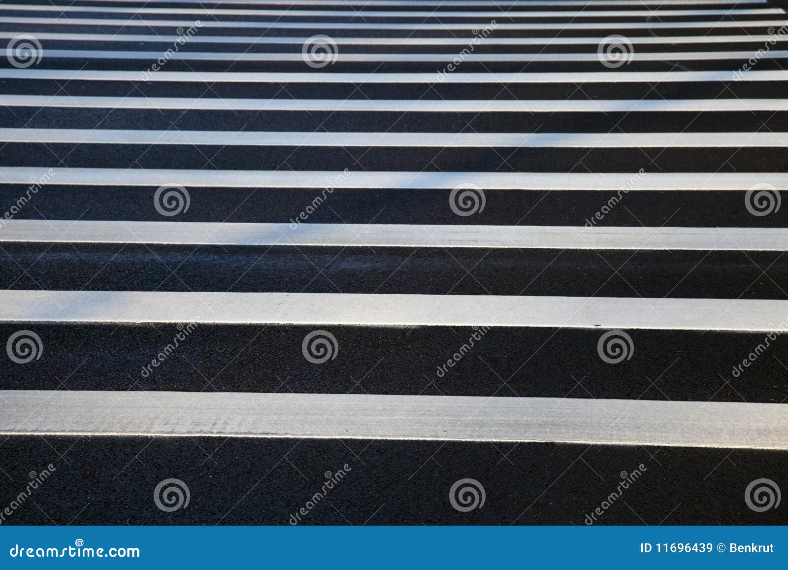 Zebra on the street stock image. Image of walking, white - 11696439
