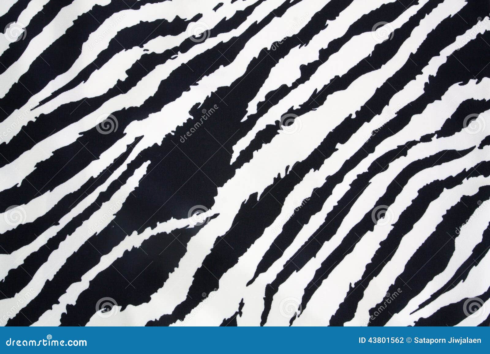 Zebra Strip Texture Stock Photography | CartoonDealer.com #48342296