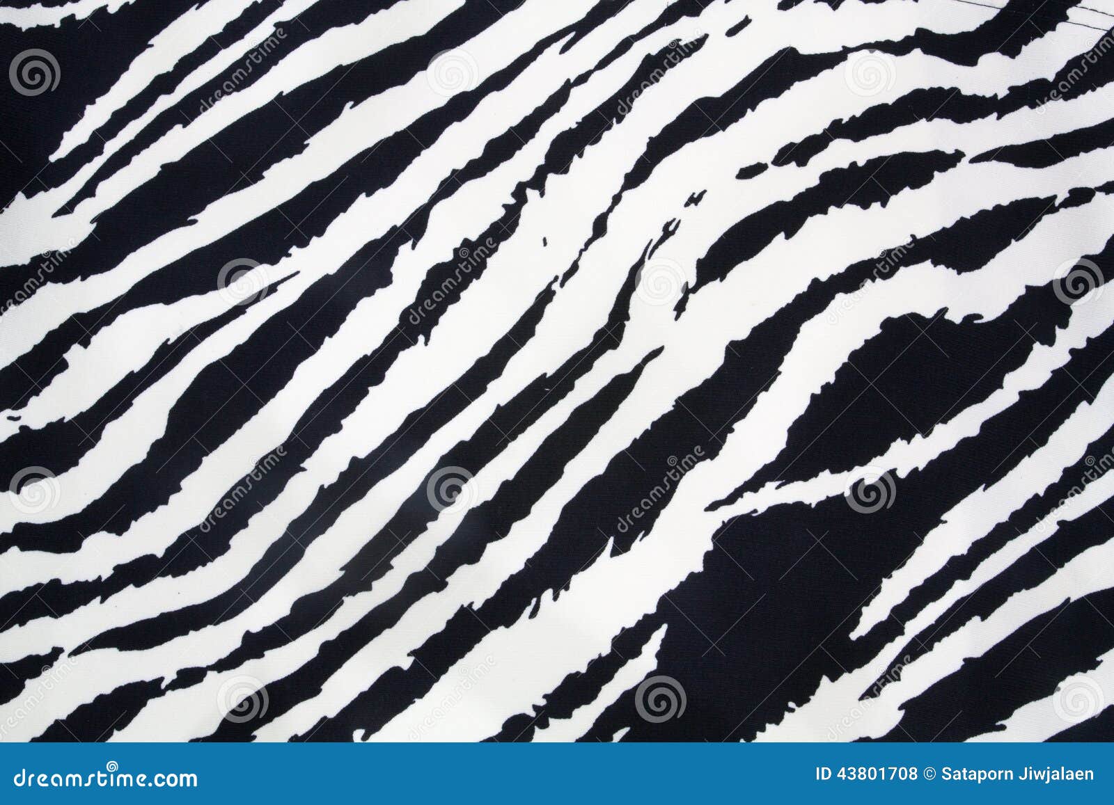 Zebra Strip Texture Stock Photography | CartoonDealer.com #48342296