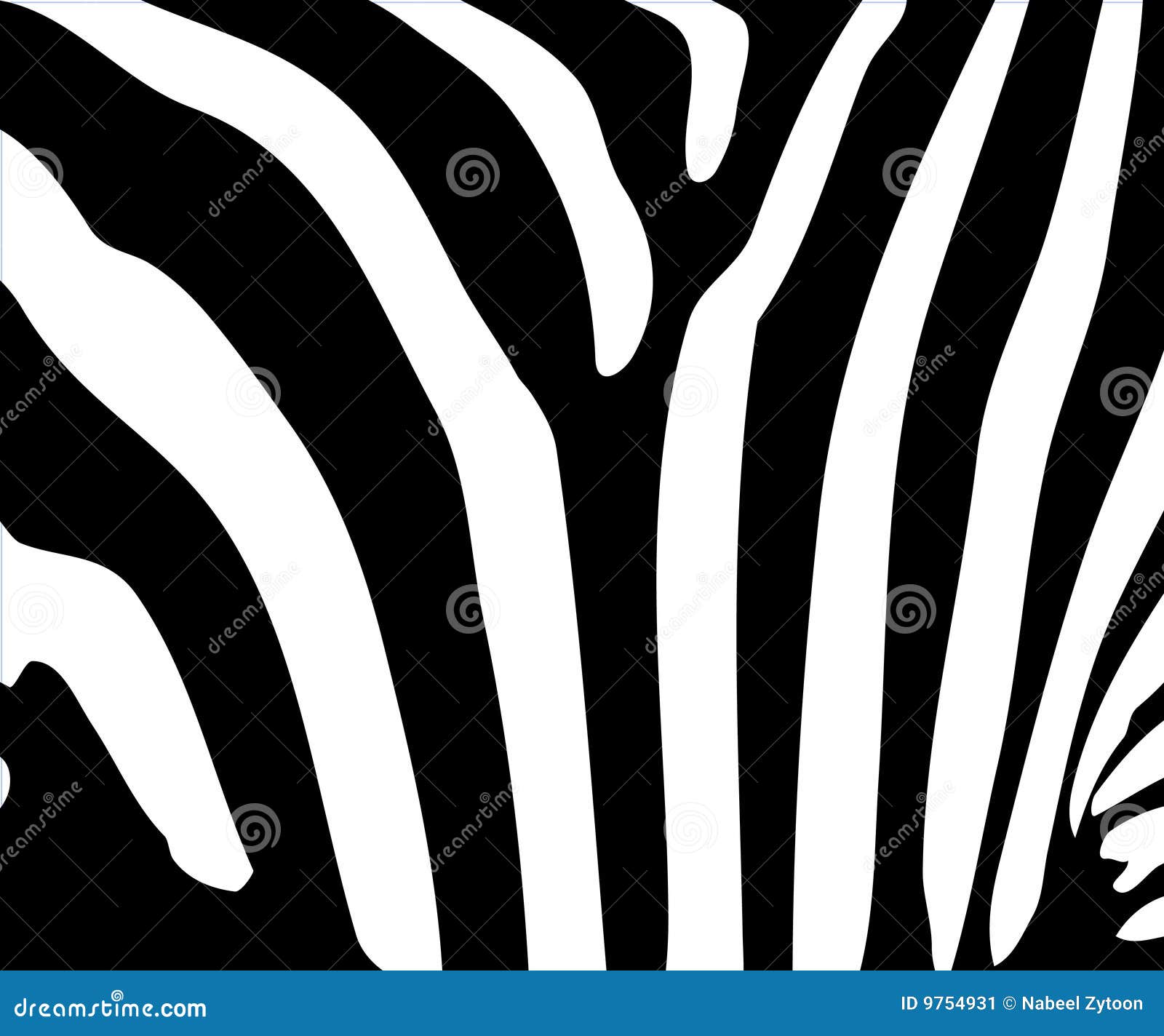 Zebra stripe pattern stock vector. Illustration of abstract - 9754931