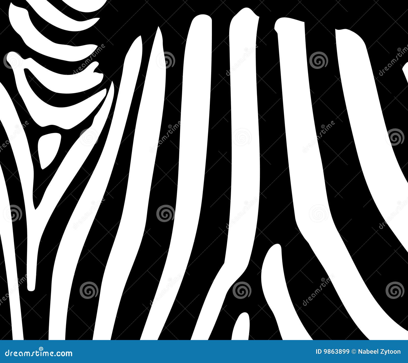 Zebra stripe pattern stock vector. Illustration of fashion - 9863899