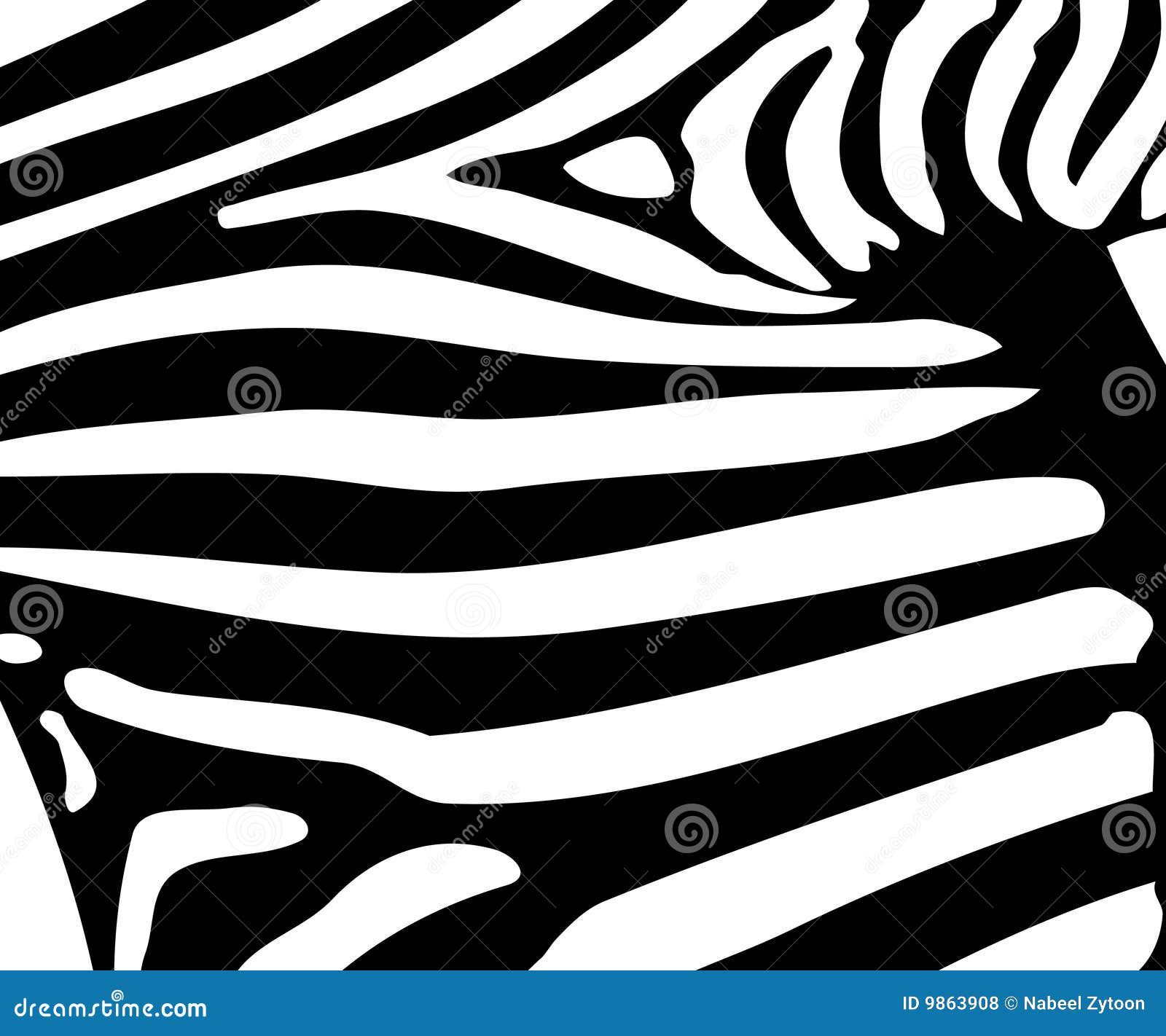 Zebra stripe pattern stock vector. Illustration of black - 9863908
