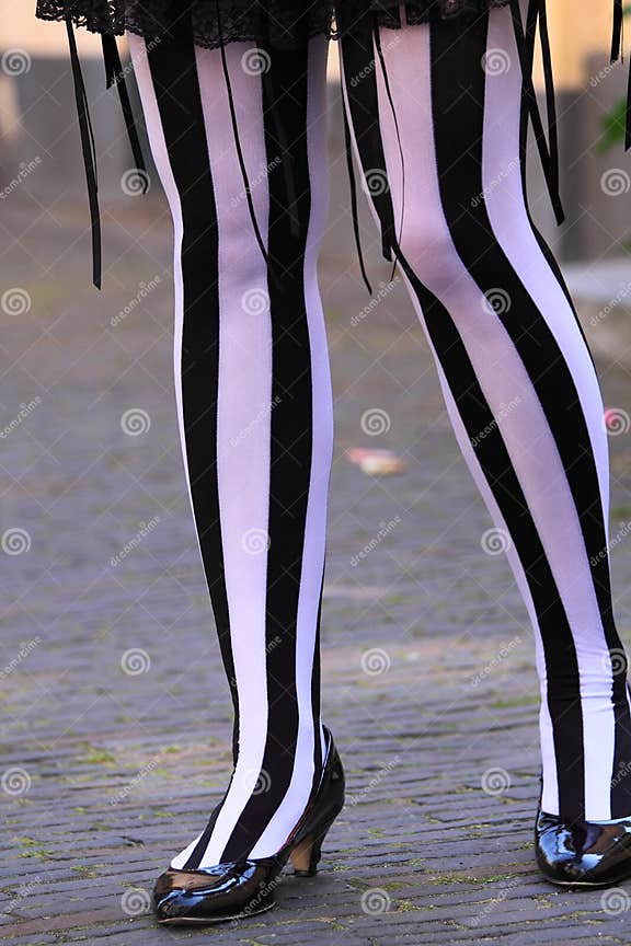 Zebra Striped Legs Streetstyle Stock Photo - Image of shoes ...