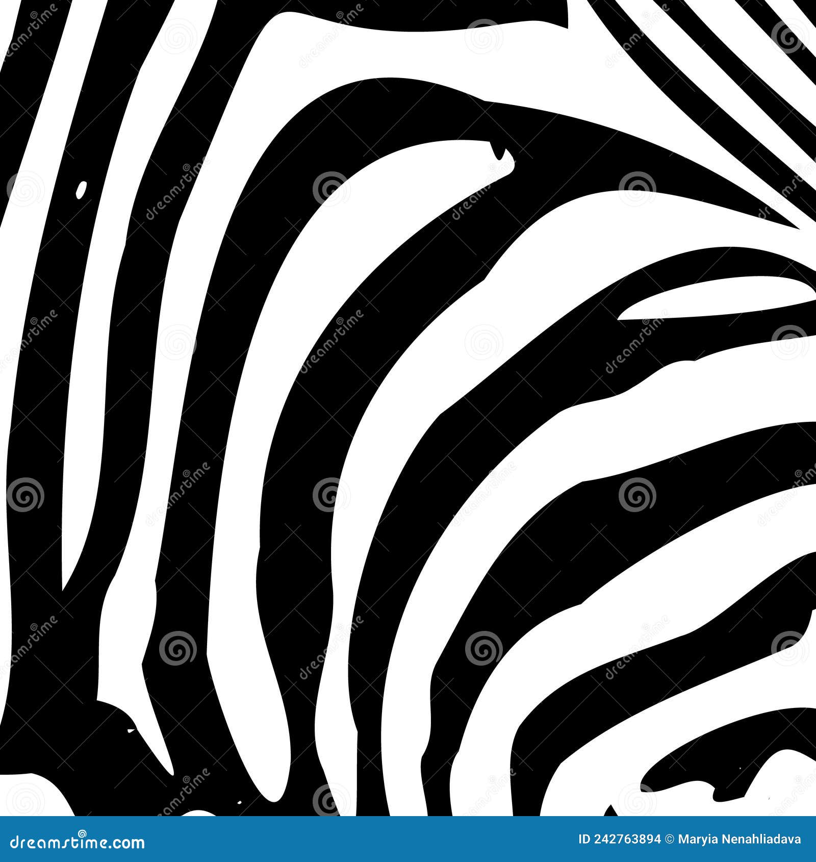 Zebra Stripes Background. Vector Illustration Stock Vector ...