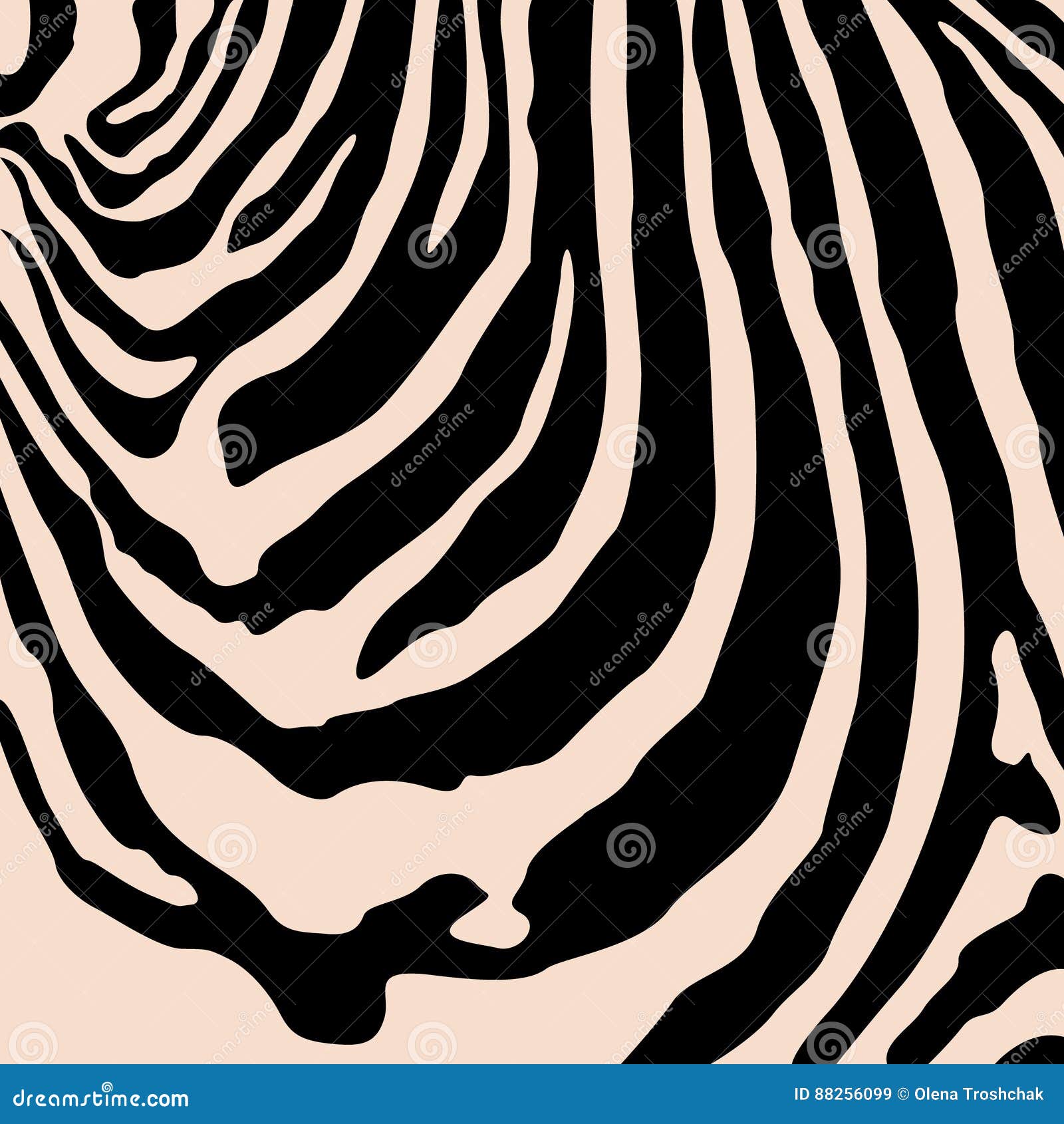 Zebra Stripes Seamless Pattern. Stock Vector - Illustration of jungle ...