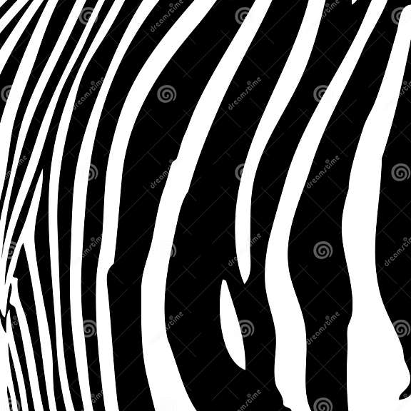 Zebra Stripes Vector stock vector. Illustration of animals - 8219836